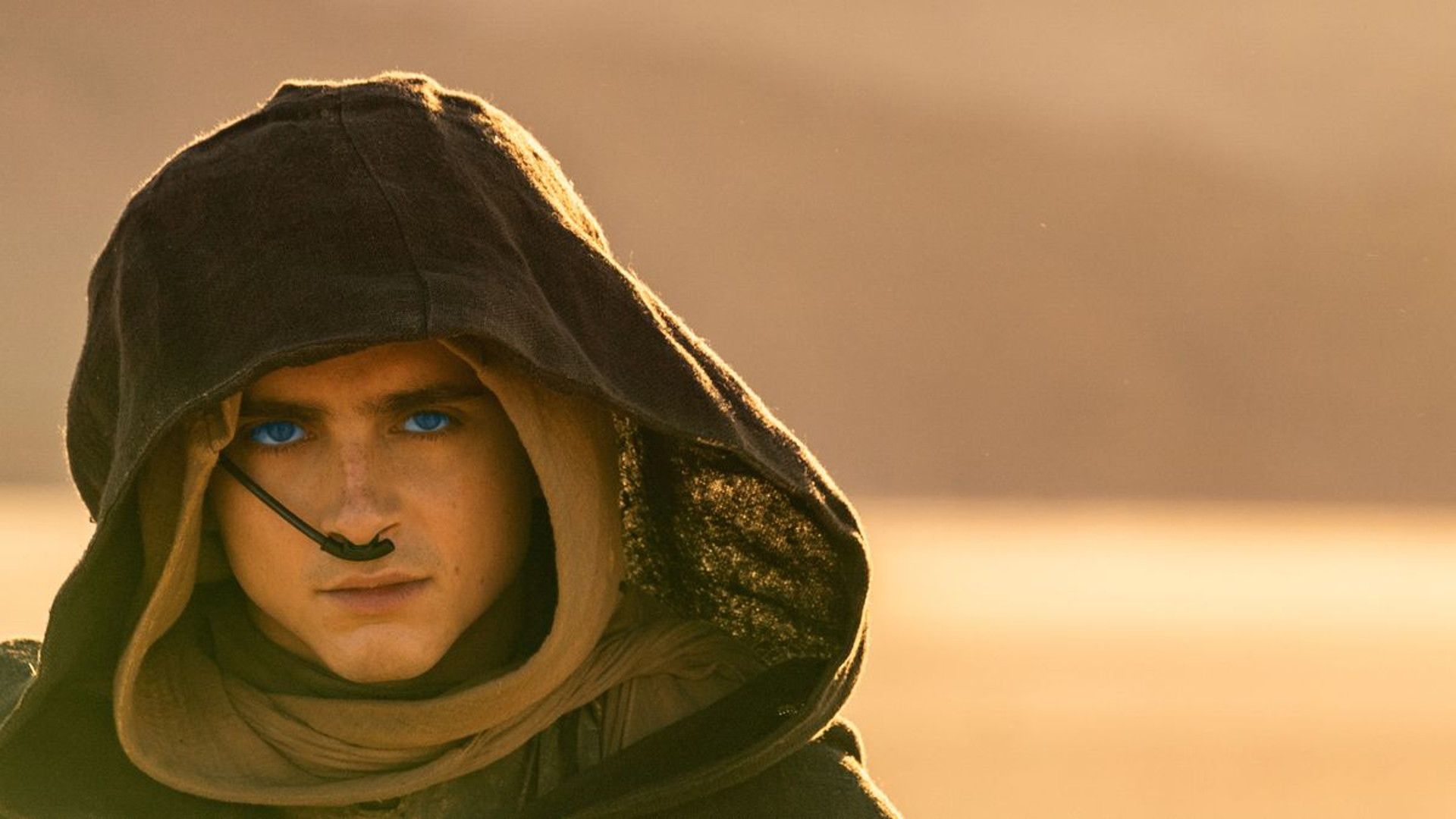 Dune Part 2 Wallpapers - Top Free Dune Part 2 Backgrounds - WallpaperAccess