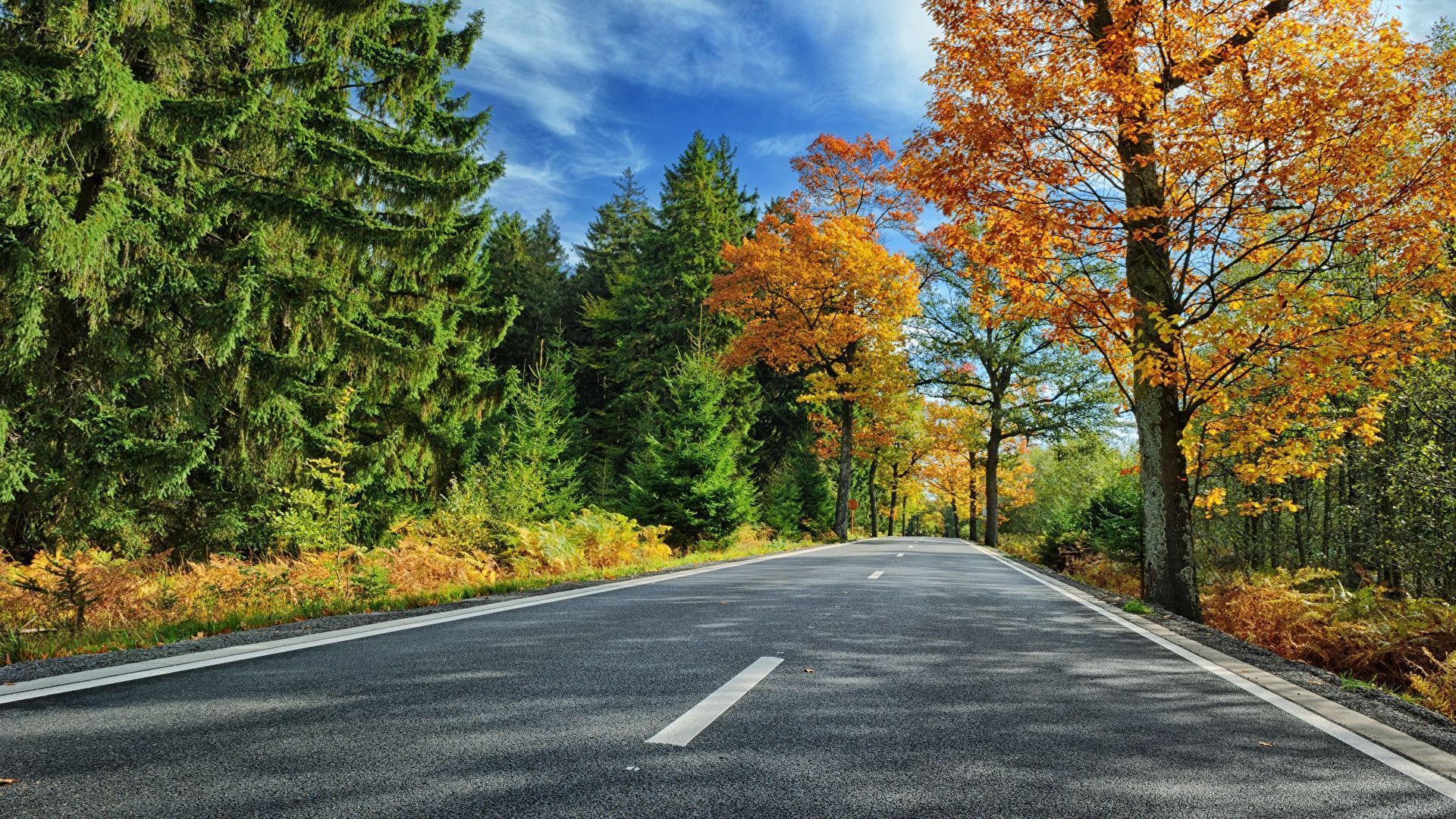 Tarmac Wallpapers - Top Free Tarmac Backgrounds - WallpaperAccess