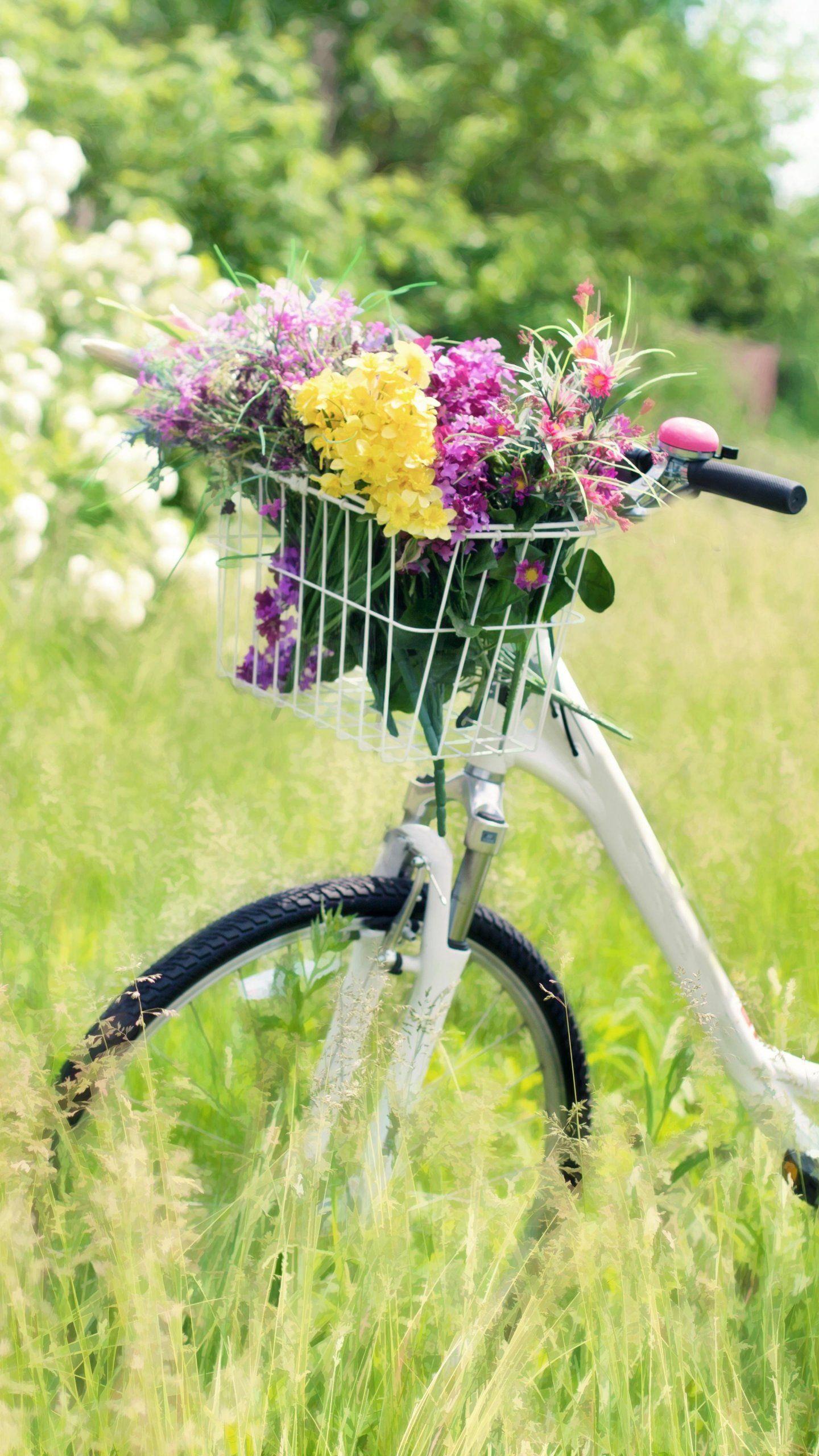 Bicycle Phone Wallpapers - Top Free Bicycle Phone Backgrounds ...