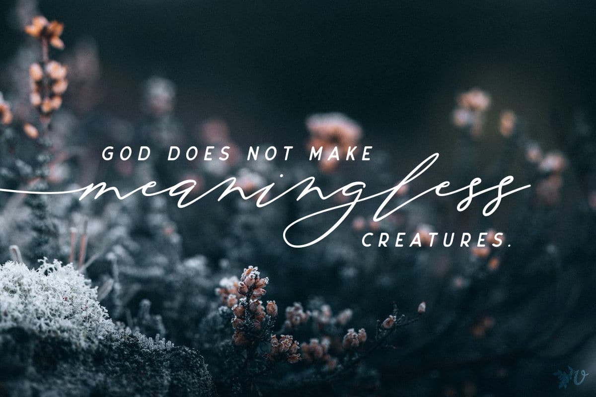 Meaningless Wallpapers - Top Free Meaningless Backgrounds - WallpaperAccess