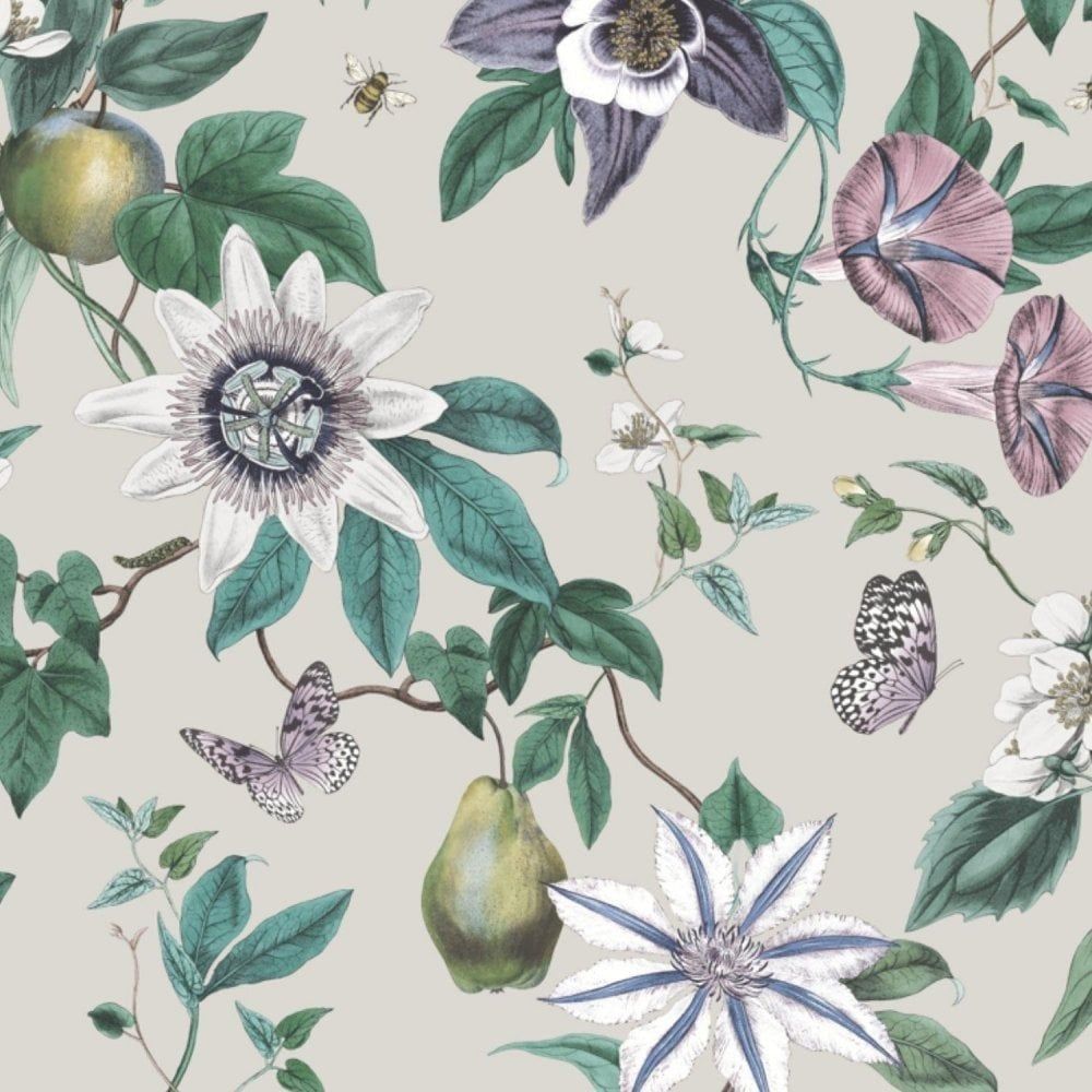 Passion Flower Wallpapers - Top Free Passion Flower Backgrounds - WallpaperAccess