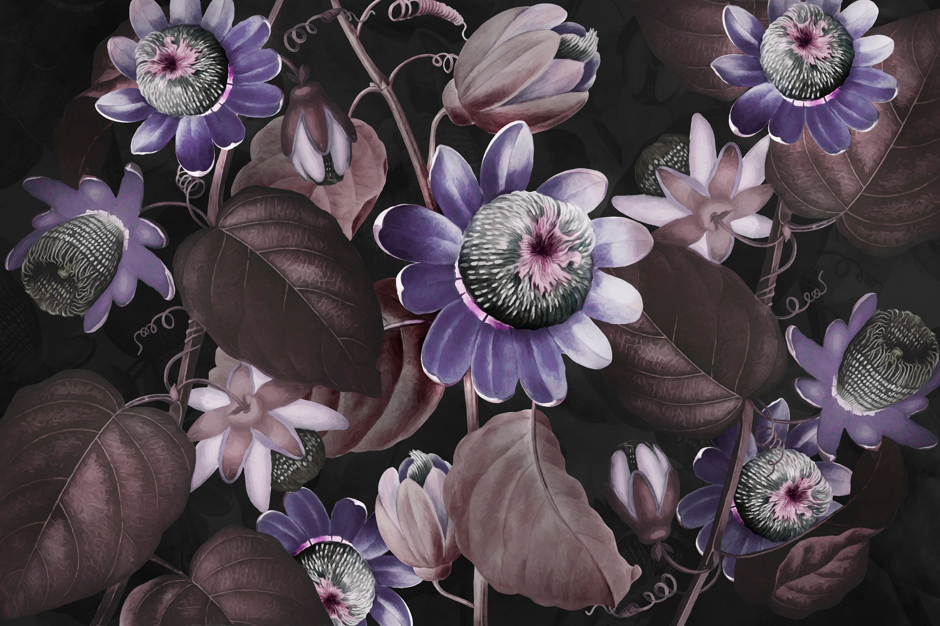 Passion Flower Wallpapers - Top Free Passion Flower Backgrounds - WallpaperAccess