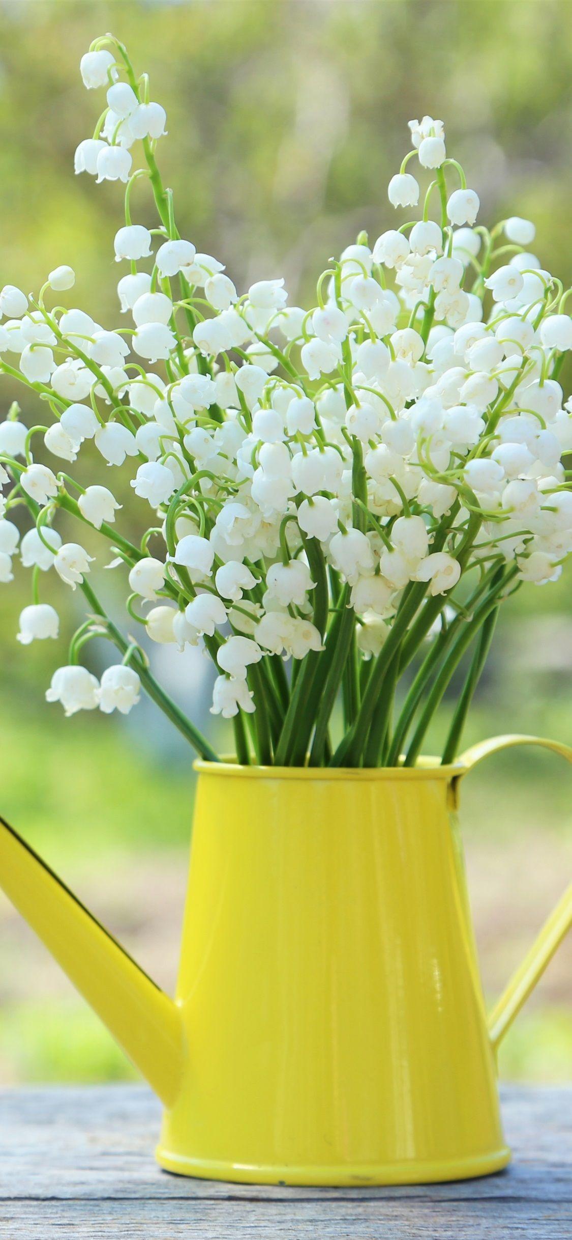 Spring Flowers iPhone Wallpapers - Top Free Spring Flowers iPhone ...