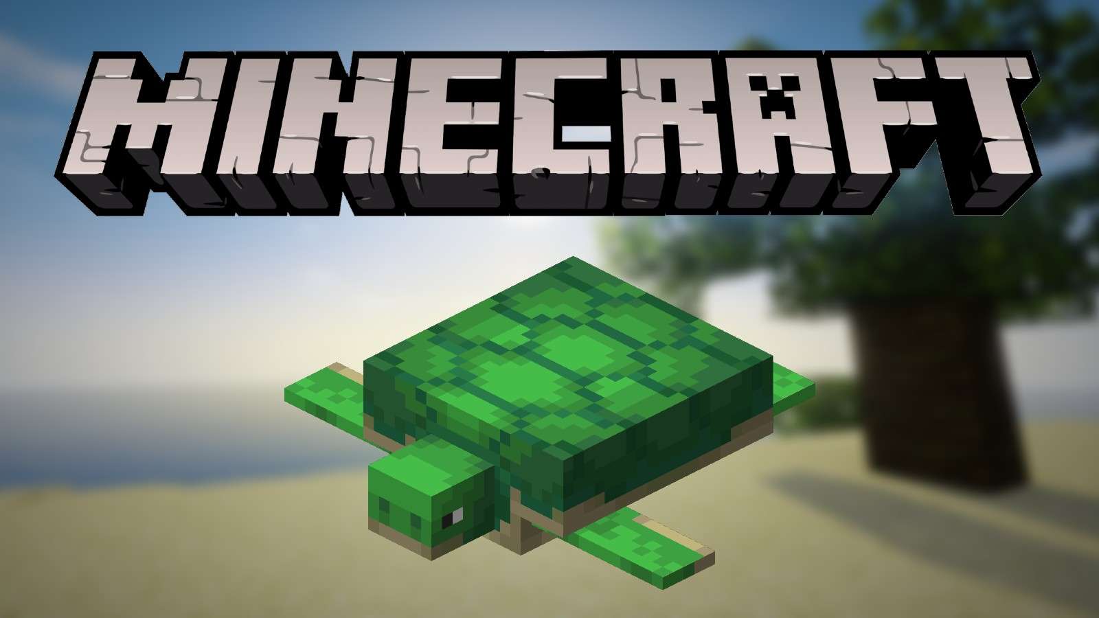 Minecraft Turtle Wallpapers - Top Free Minecraft Turtle Backgrounds ...