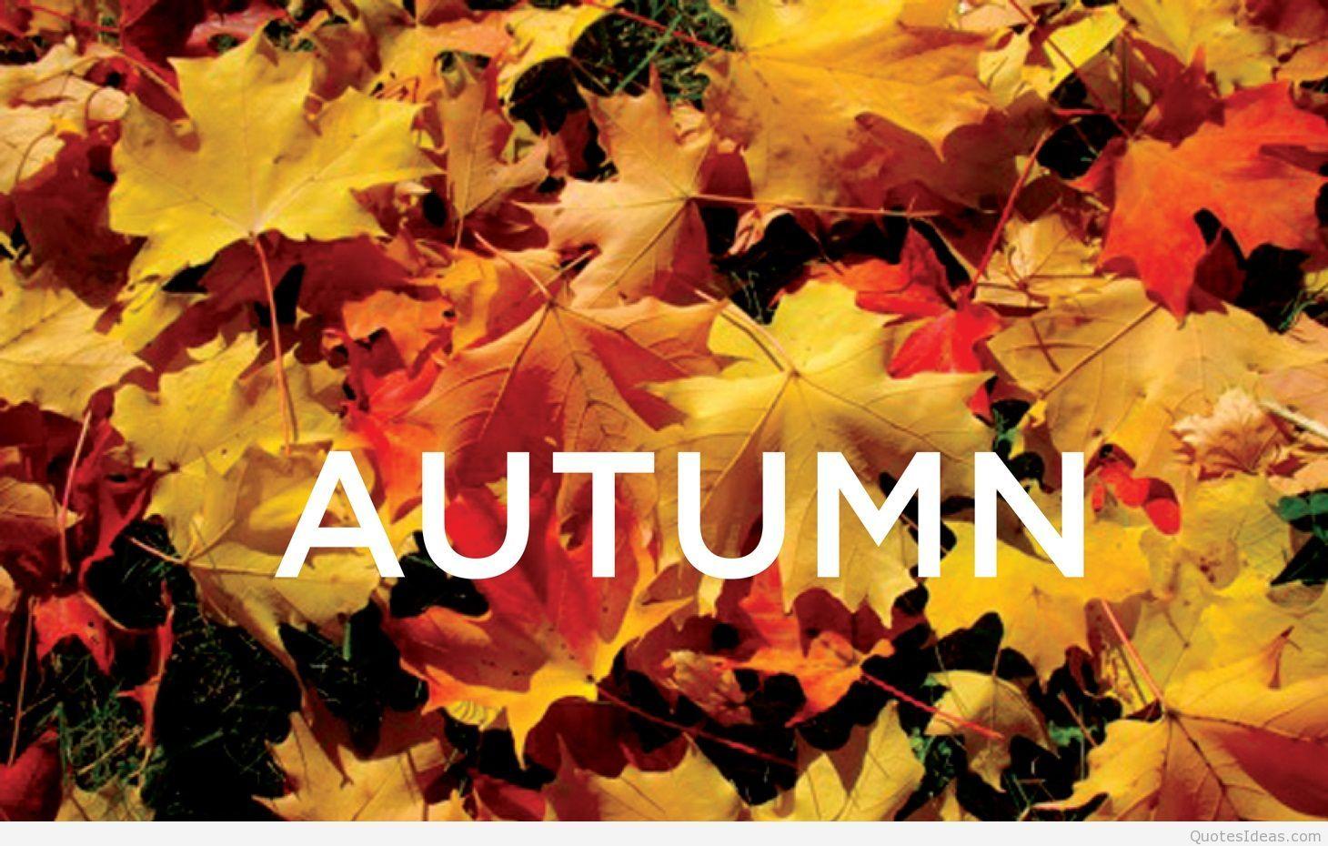 Hello Autumn Wallpapers - Top Free Hello Autumn Backgrounds ...