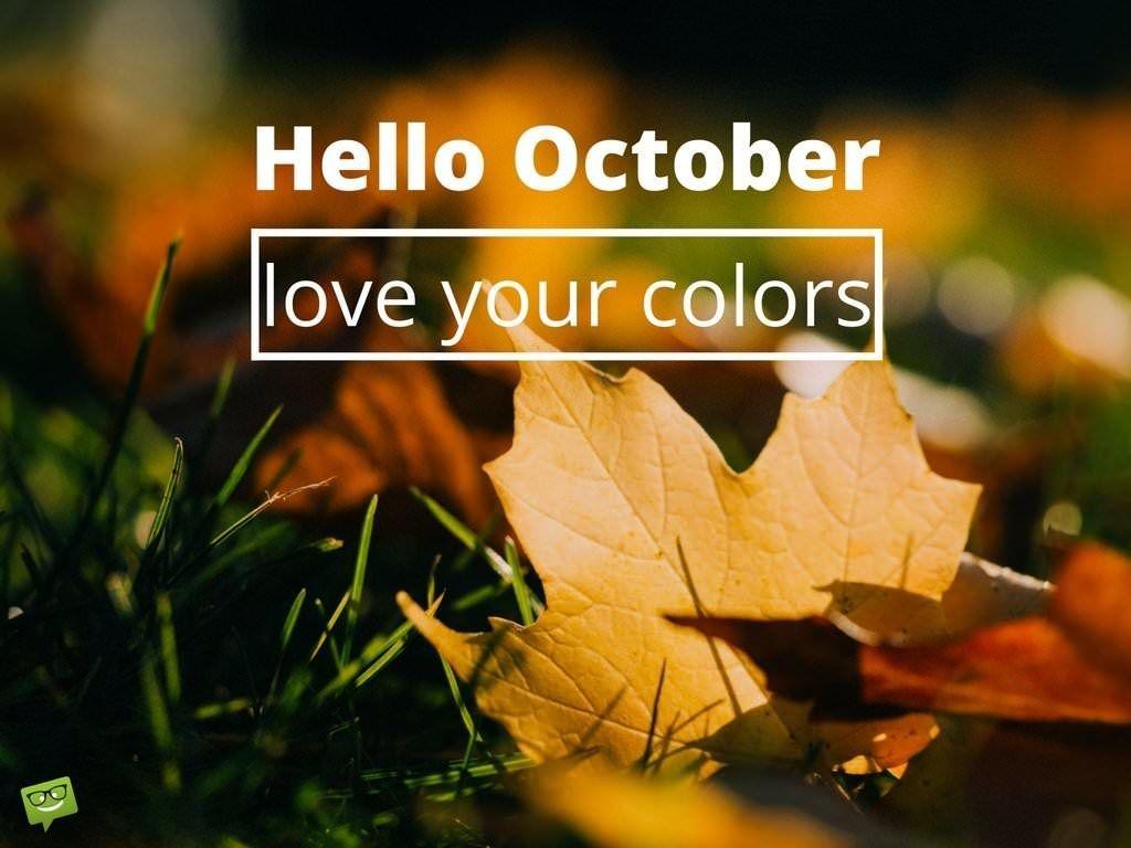 Hello October with Pumpkin Wallpapers - Top Free Hello October with ...