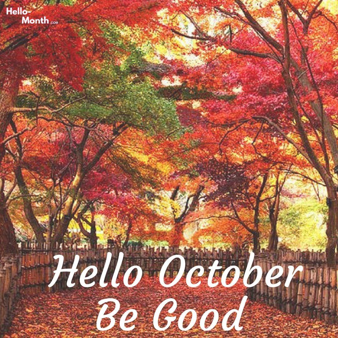 Hello October Fall Quotes Wallpapers - Top Free Hello October Fall ...