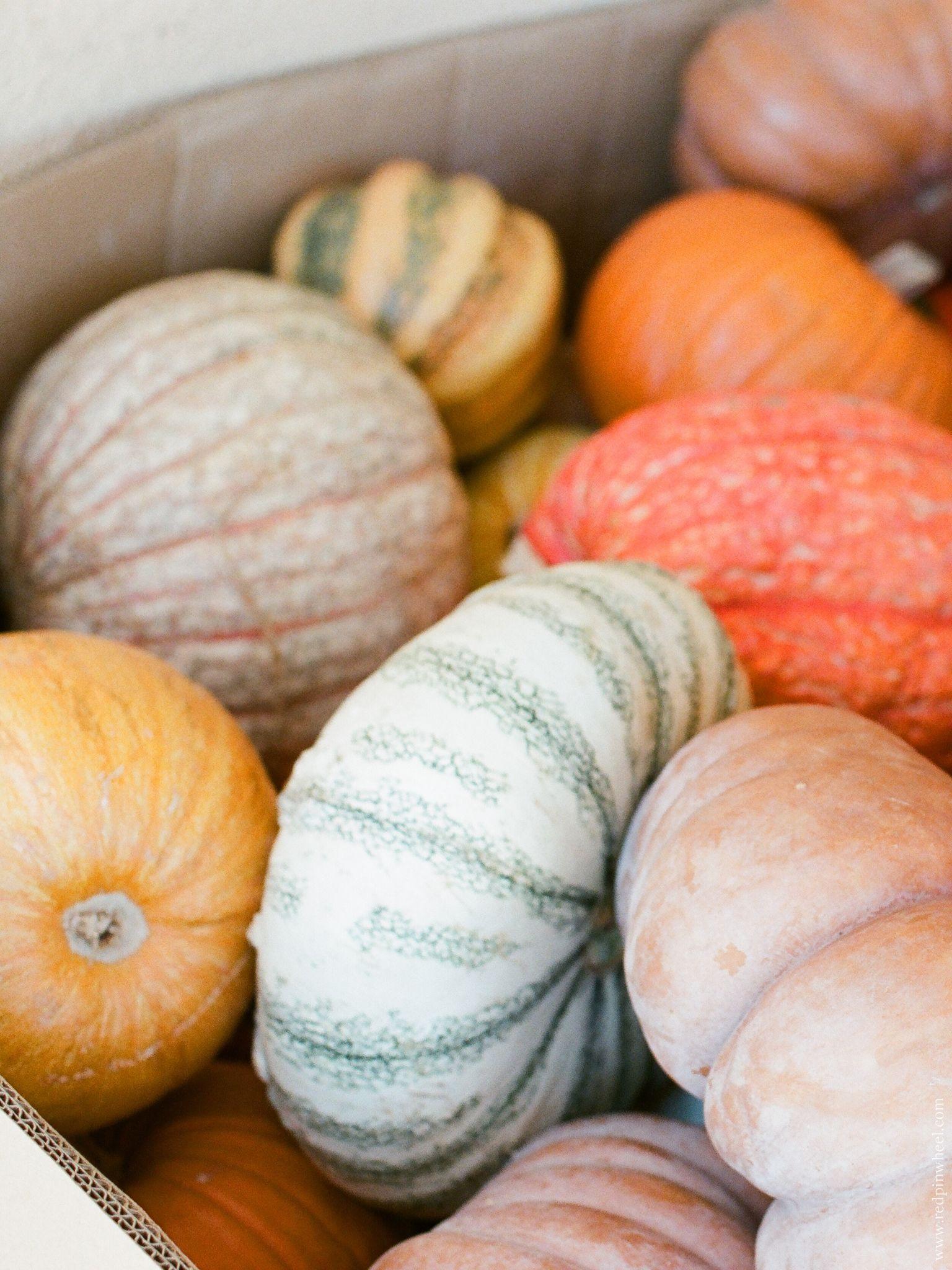 October Pumpkins Wallpapers - Top Free October Pumpkins Backgrounds ...