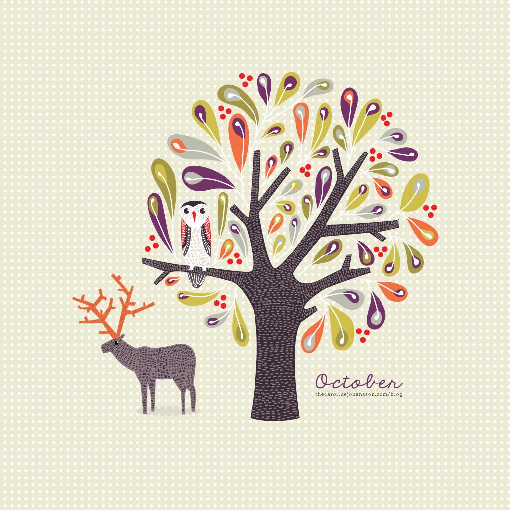 October Owl Wallpapers - Top Free October Owl Backgrounds - WallpaperAccess