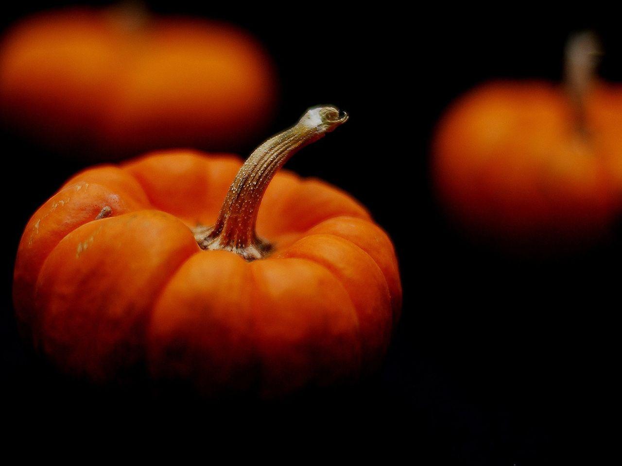 October Pumpkins Wallpapers - Top Free October Pumpkins Backgrounds ...