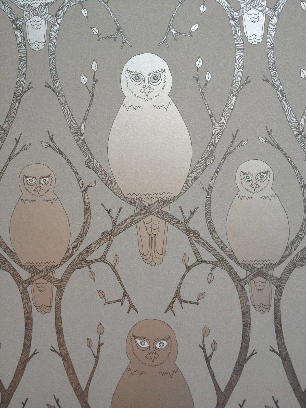 October Owl Wallpapers - Top Free October Owl Backgrounds - WallpaperAccess