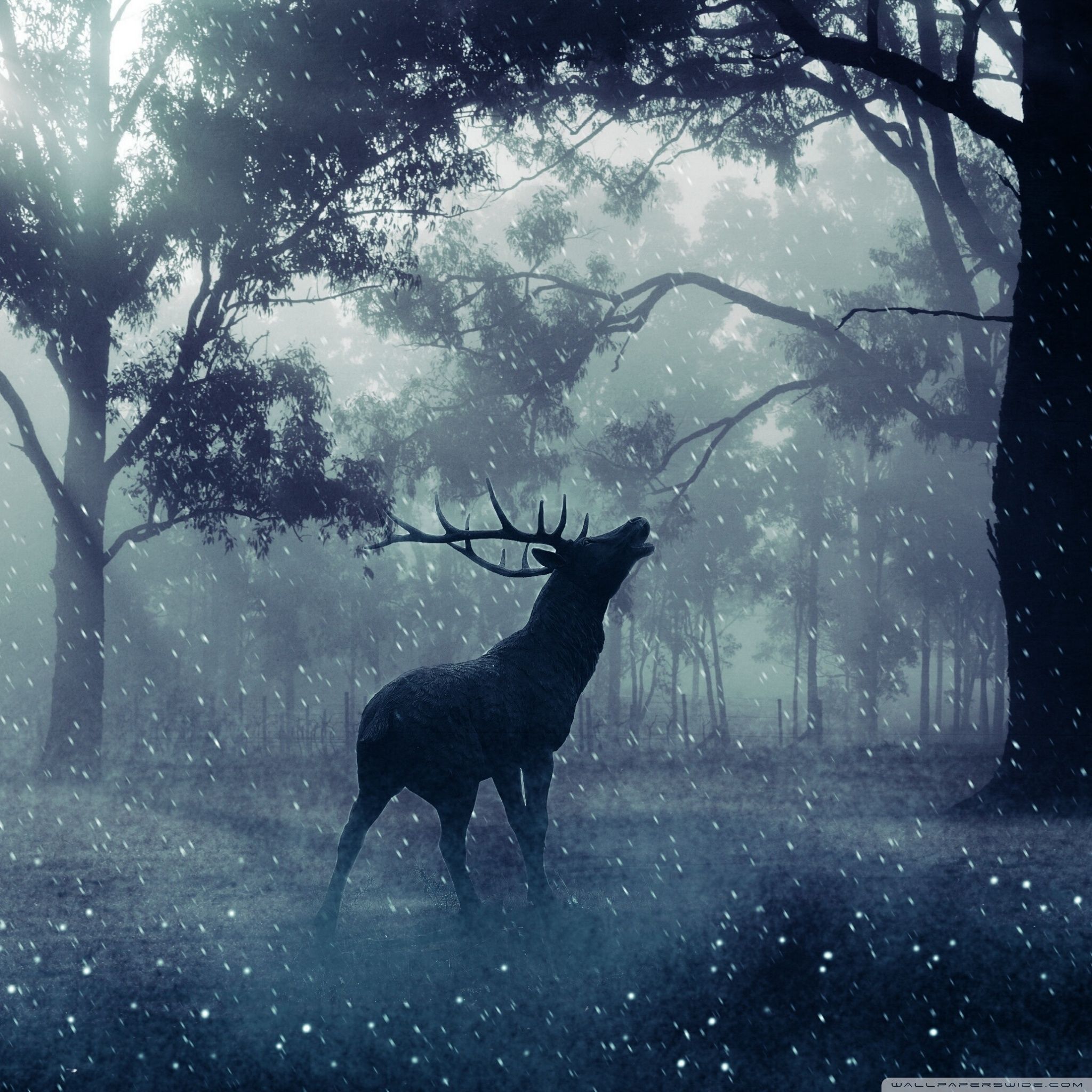 Follow Me Wallpapers - Top Free Follow Me Backgrounds - WallpaperAccess