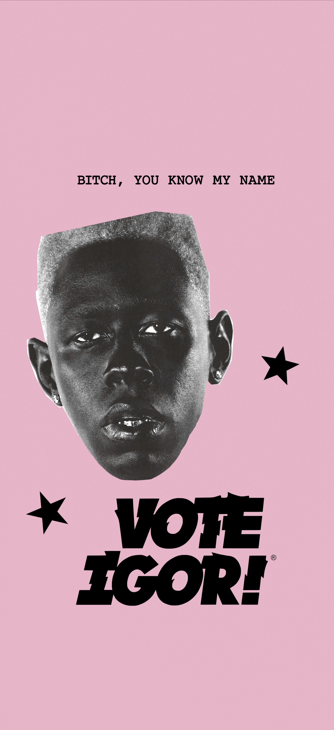 Vote Igor Wallpapers - Top Free Vote Igor Backgrounds - WallpaperAccess