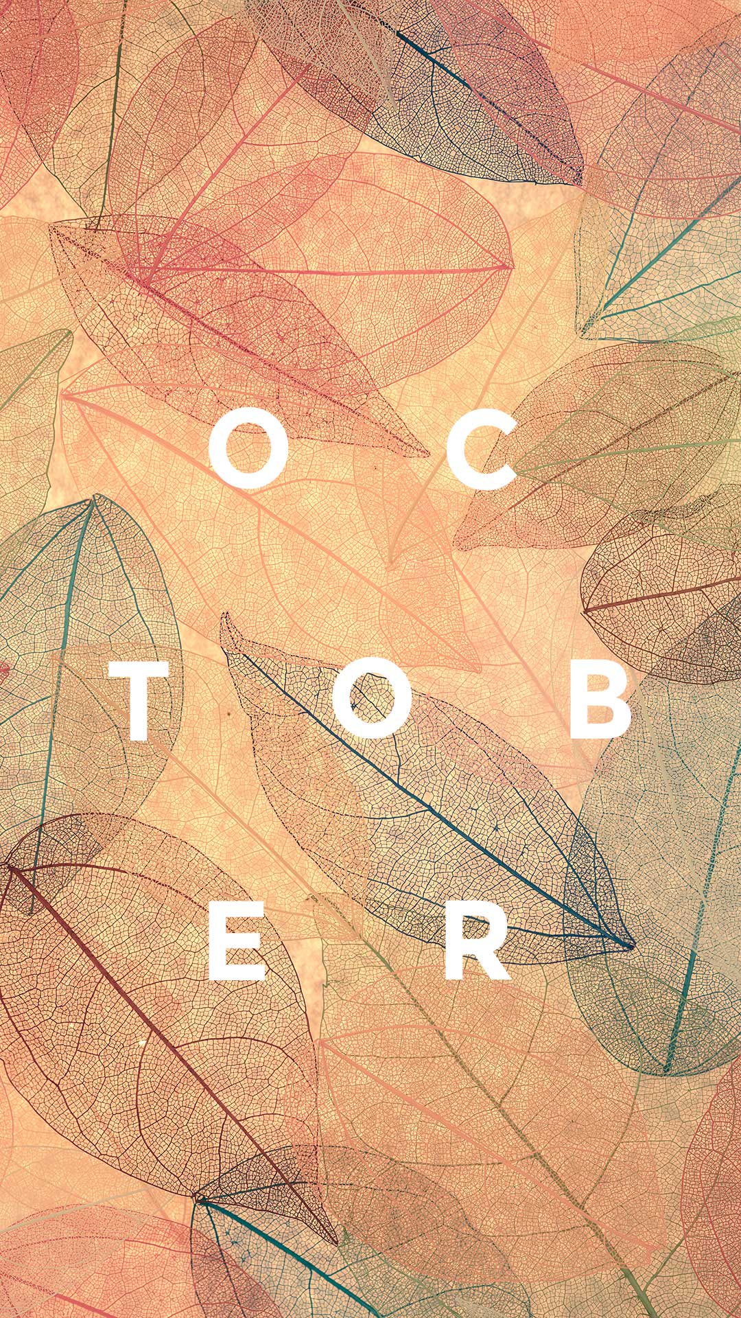 Fall October Wallpapers - Top Free Fall October Backgrounds ...