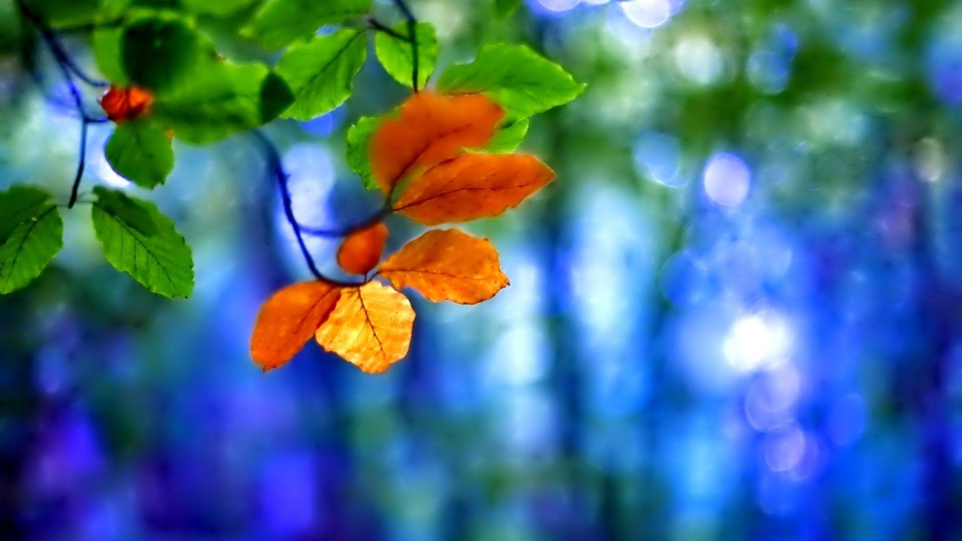 Pretty October Wallpapers - Top Free Pretty October Backgrounds ...