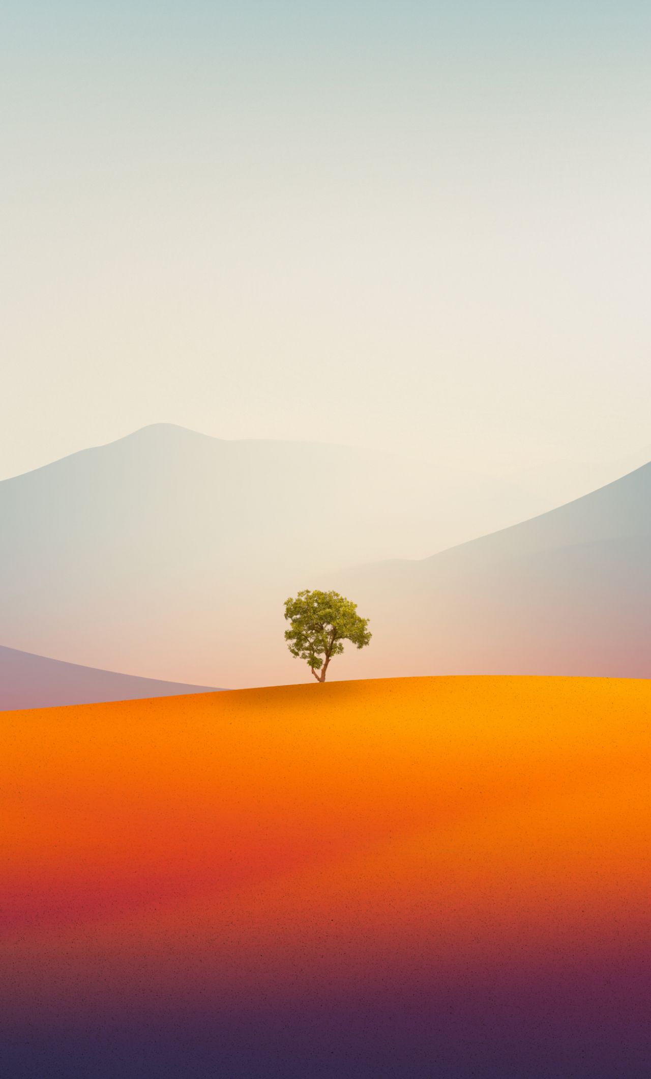 Desert Tree Wallpapers - Top Free Desert Tree Backgrounds - WallpaperAccess