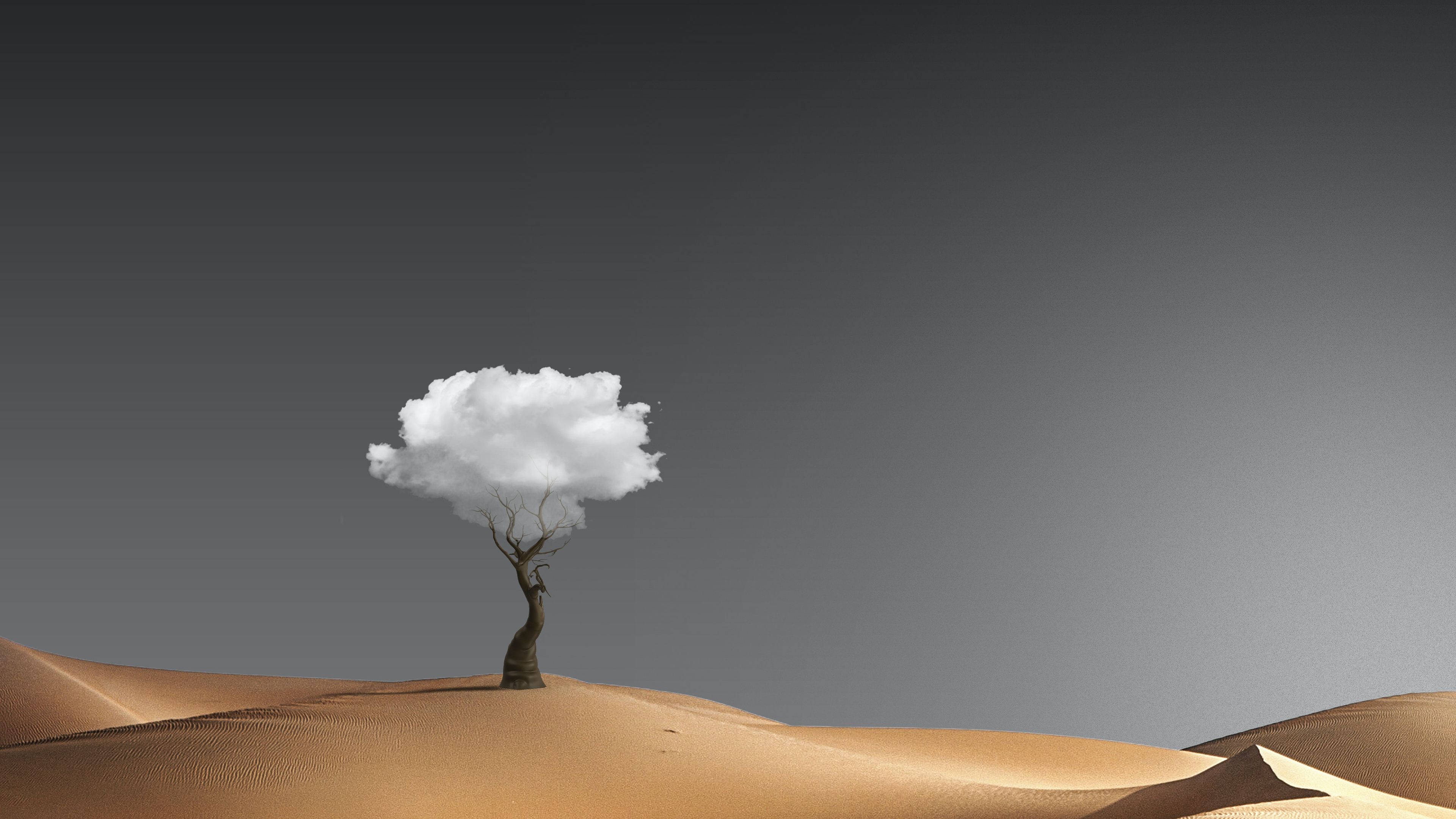 Desert Tree Wallpapers - Top Free Desert Tree Backgrounds - WallpaperAccess