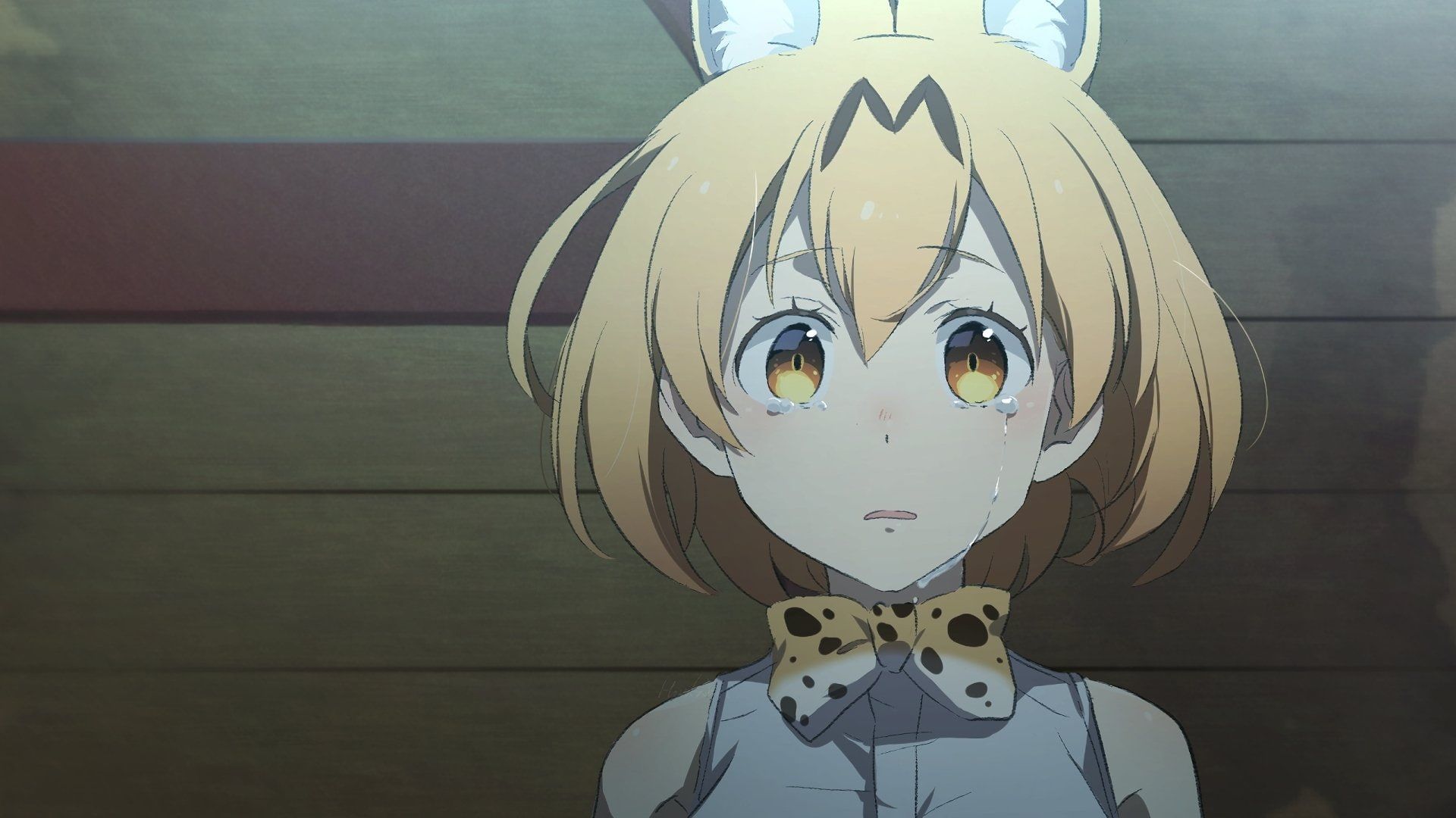 Kemono Friends Wallpapers - Top Free Kemono Friends Backgrounds ...