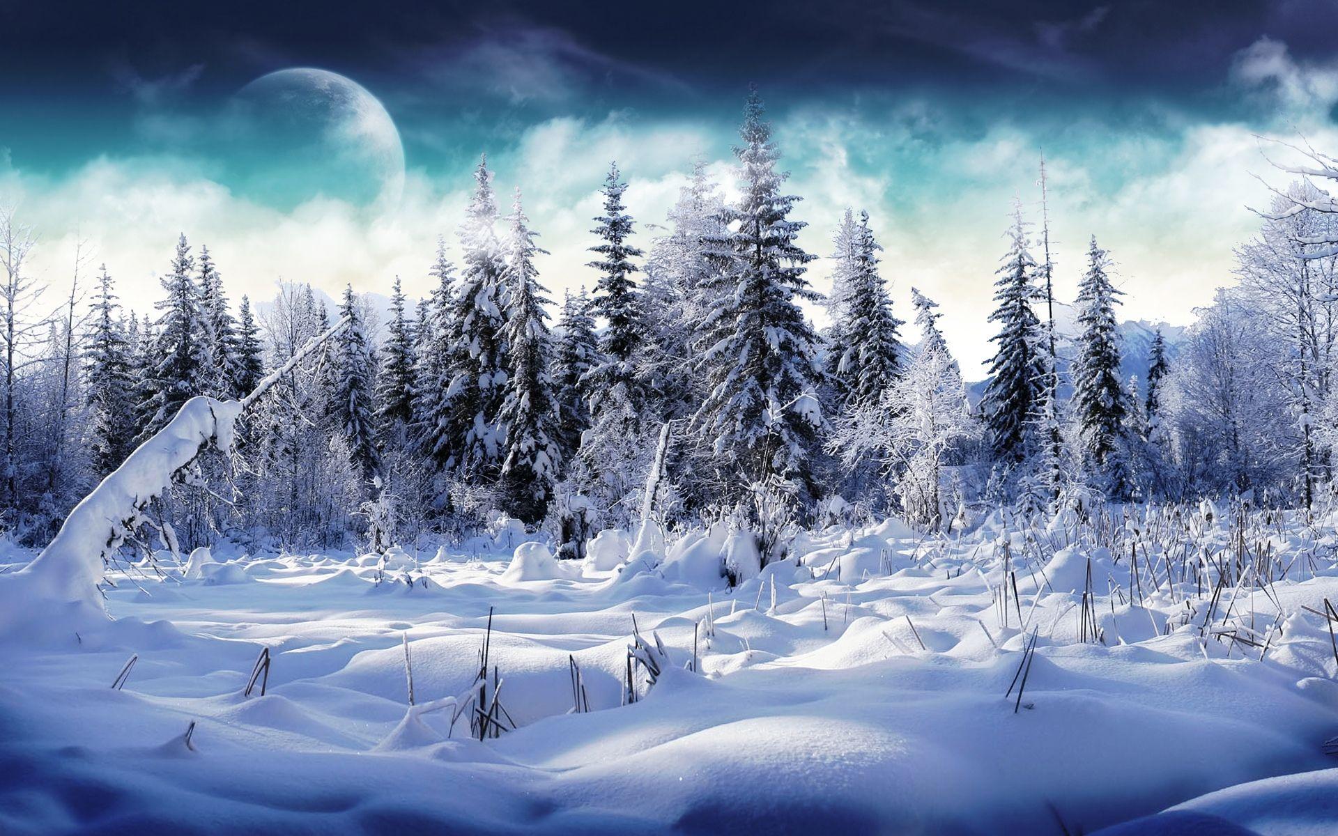 Disney Winter Wonderland Wallpapers - Top Free Disney Winter Wonderland ...