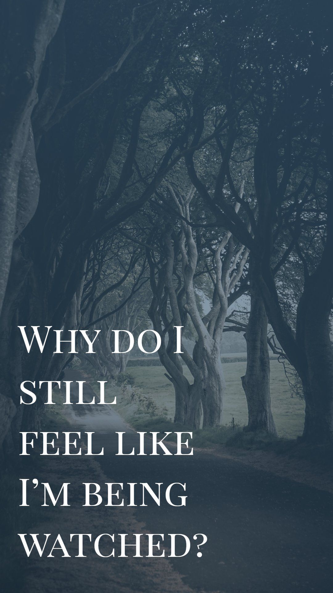 The Magnus Archives Wallpapers - Top Free The Magnus Archives ...