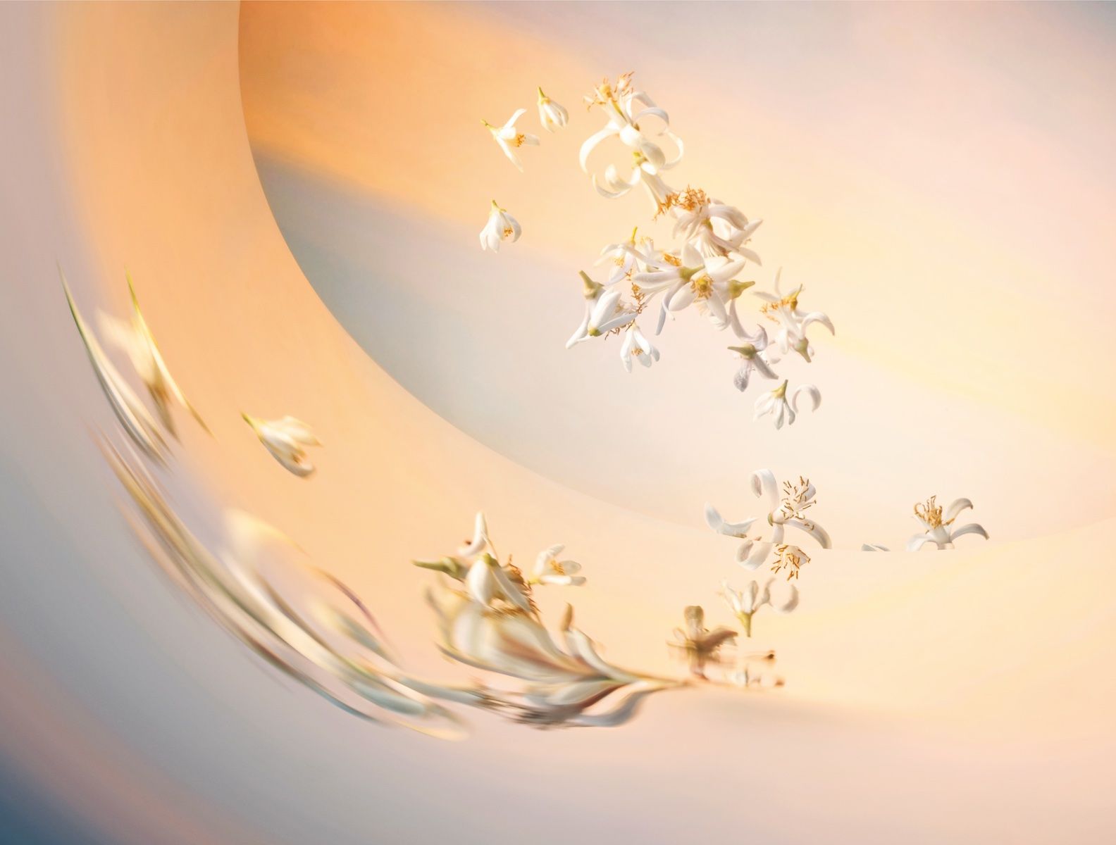 Guerlain Wallpapers - Top Free Guerlain Backgrounds - WallpaperAccess