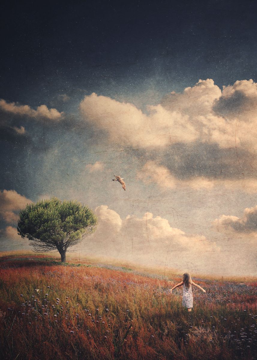 Secret Place Wallpapers - Top Free Secret Place Backgrounds ...