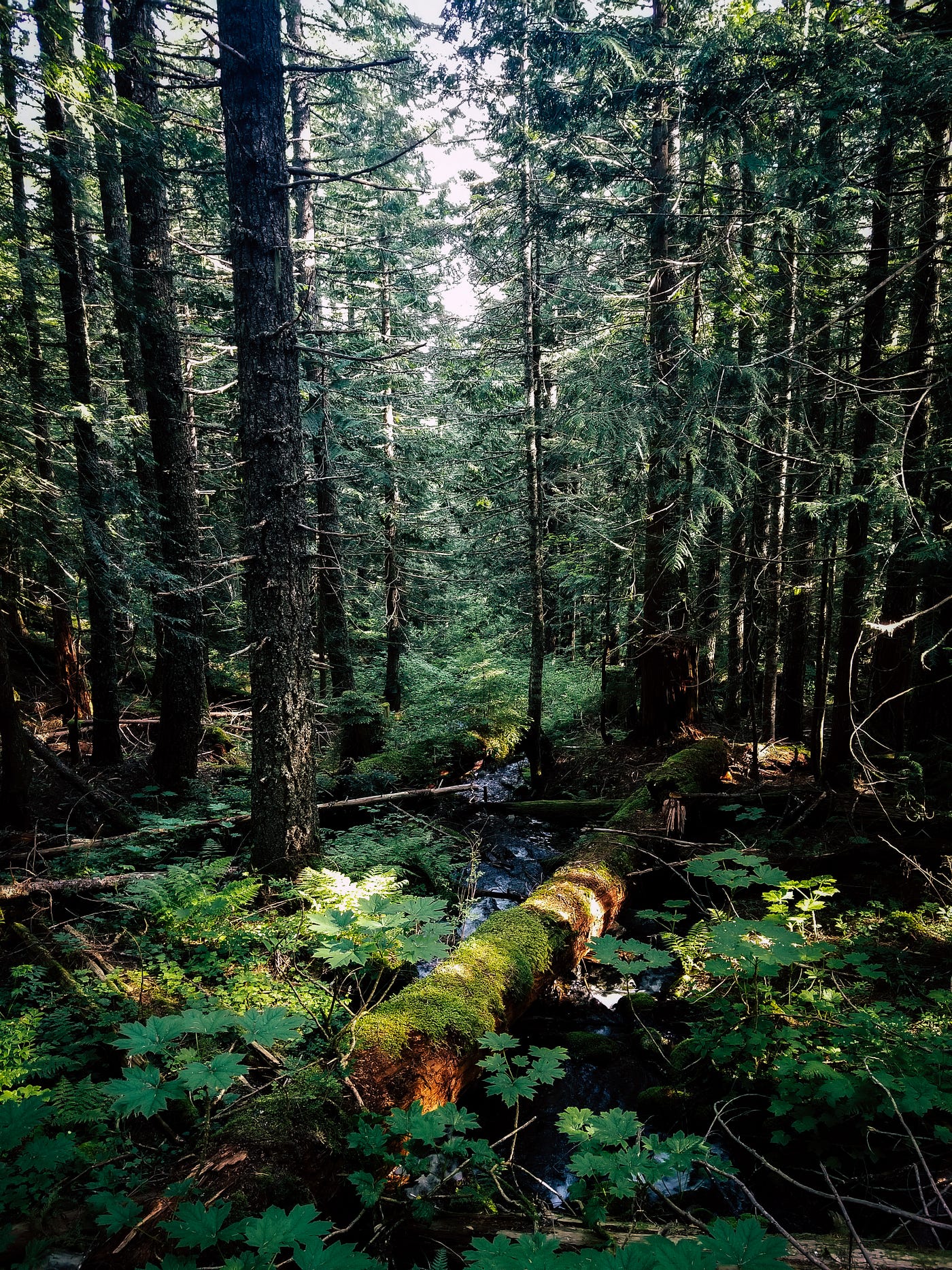 Secret Place Wallpapers - Top Free Secret Place Backgrounds ...