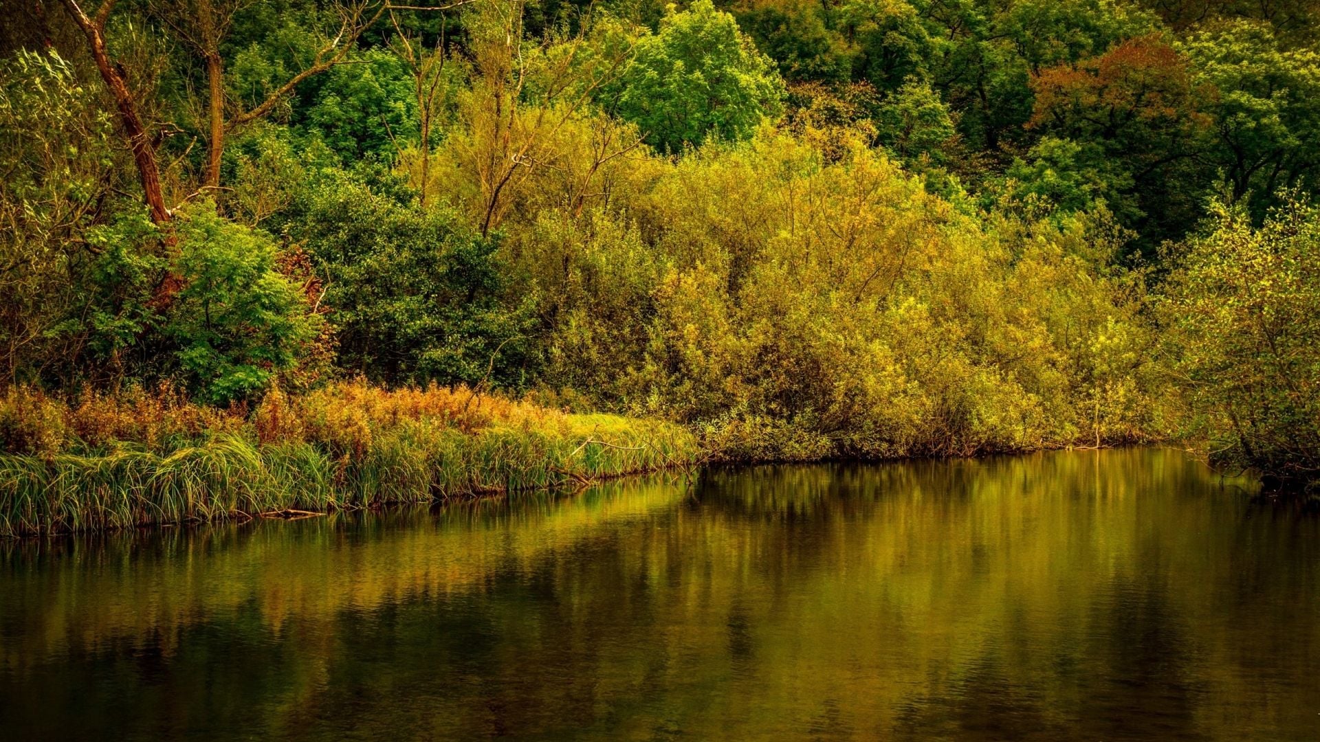 Derbyshire Wallpapers - Top Free Derbyshire Backgrounds - WallpaperAccess