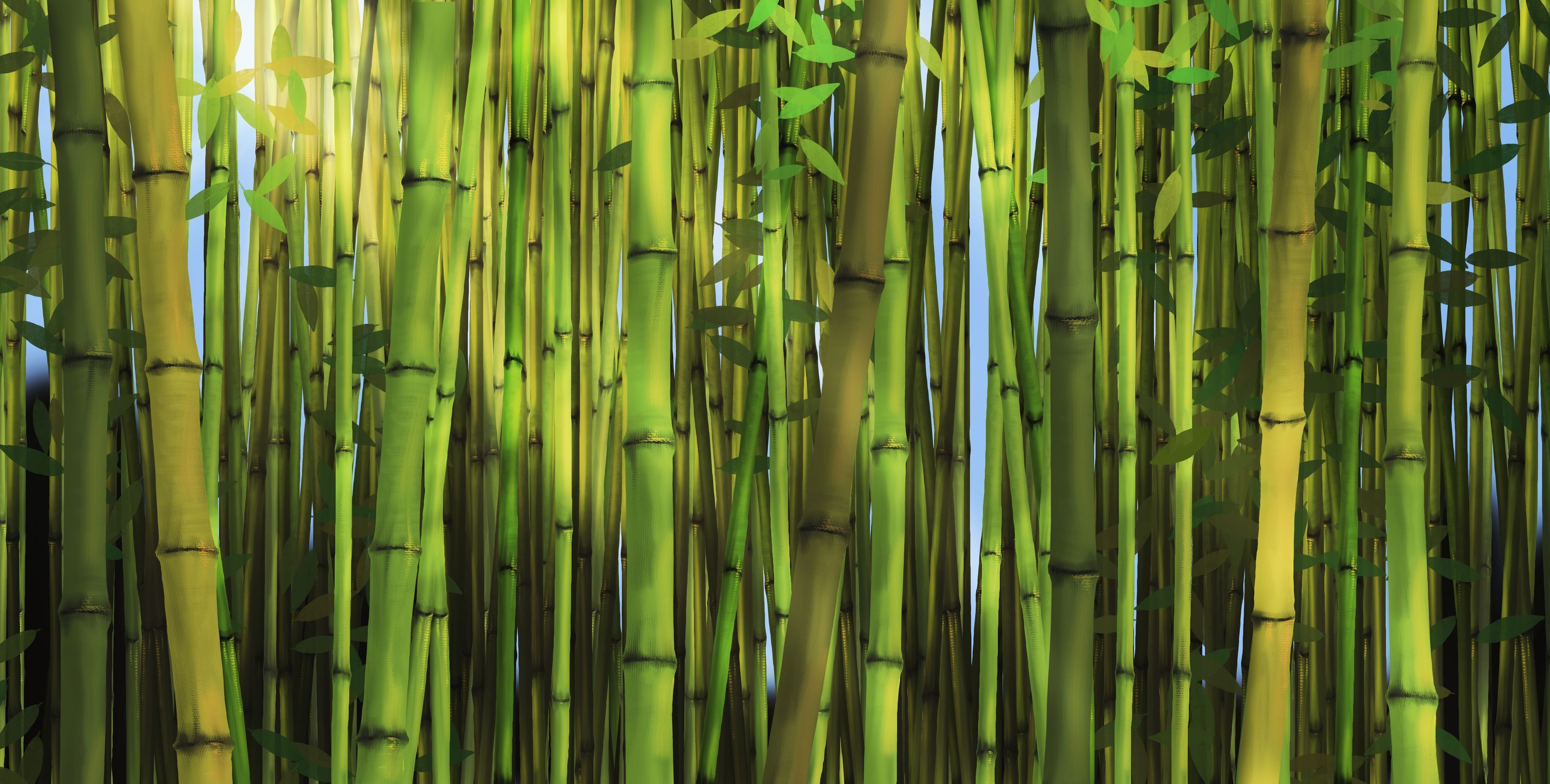 BAMBOO TREE Wallpapers - Top Free BAMBOO TREE Backgrounds - WallpaperAccess