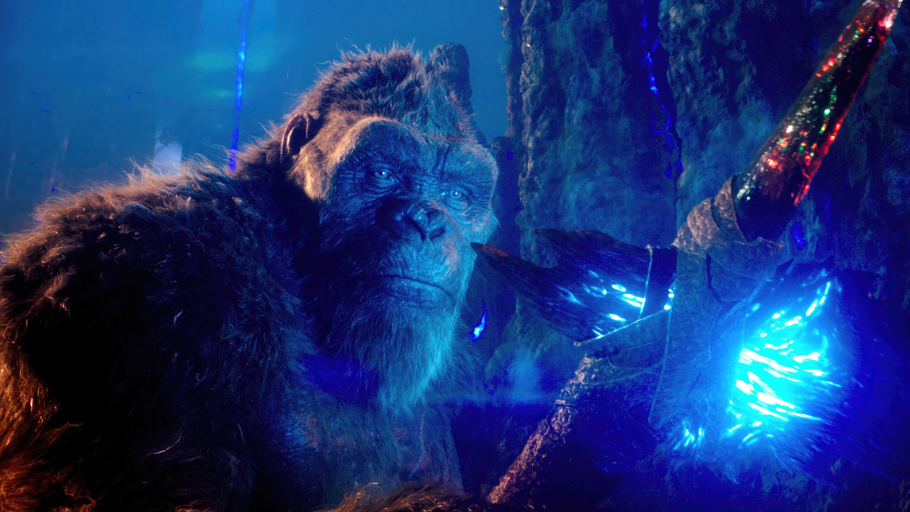 Godzilla X Kong The New Empire Wallpapers - Top Free Godzilla X Kong ...
