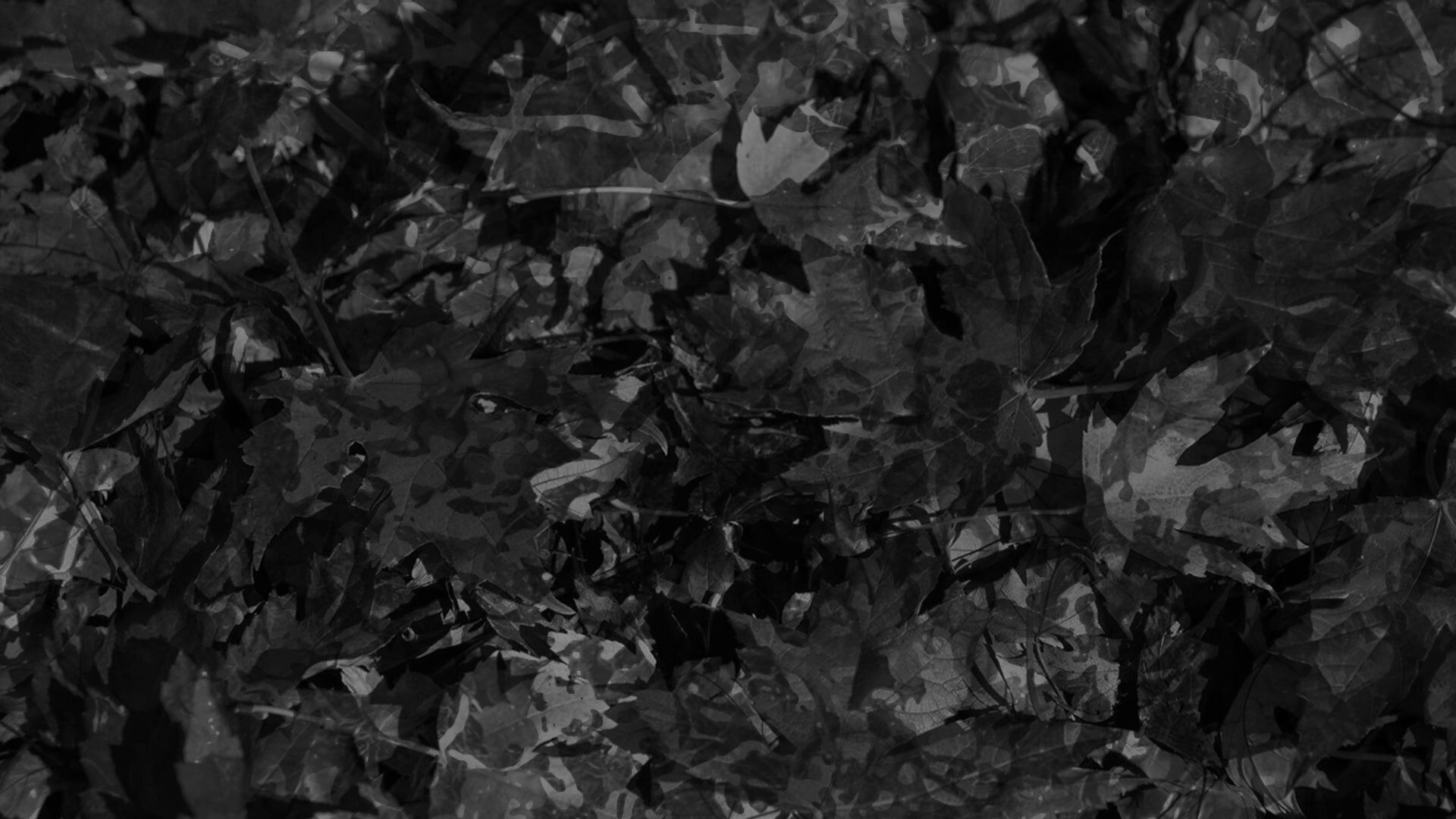 Forged Carbon Fiber Wallpapers - Top Free Forged Carbon Fiber ...