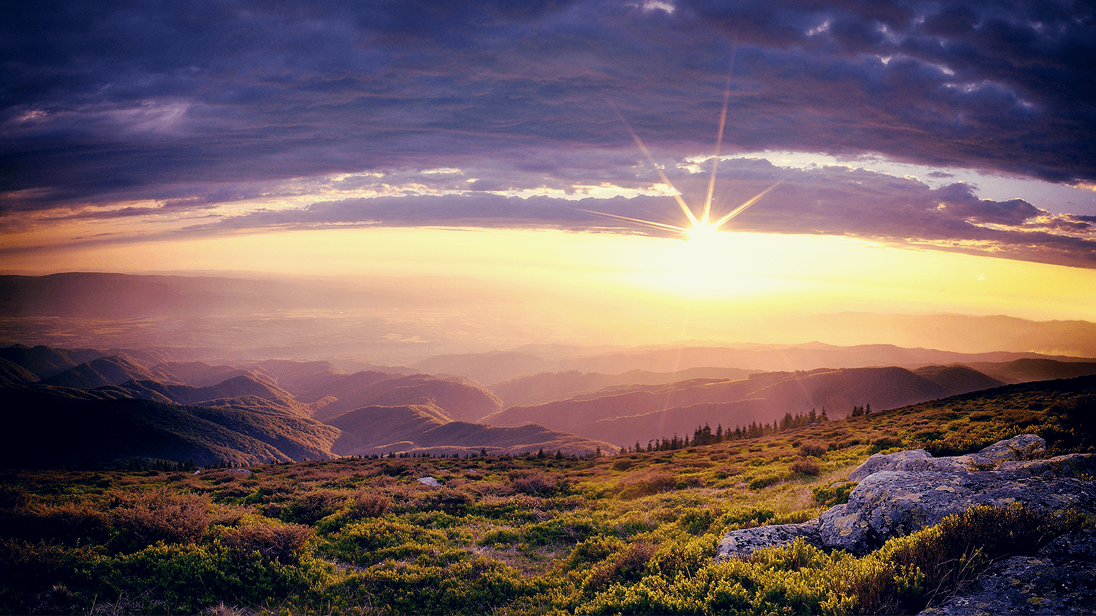 July Nature Wallpapers - Top Free July Nature Backgrounds - WallpaperAccess