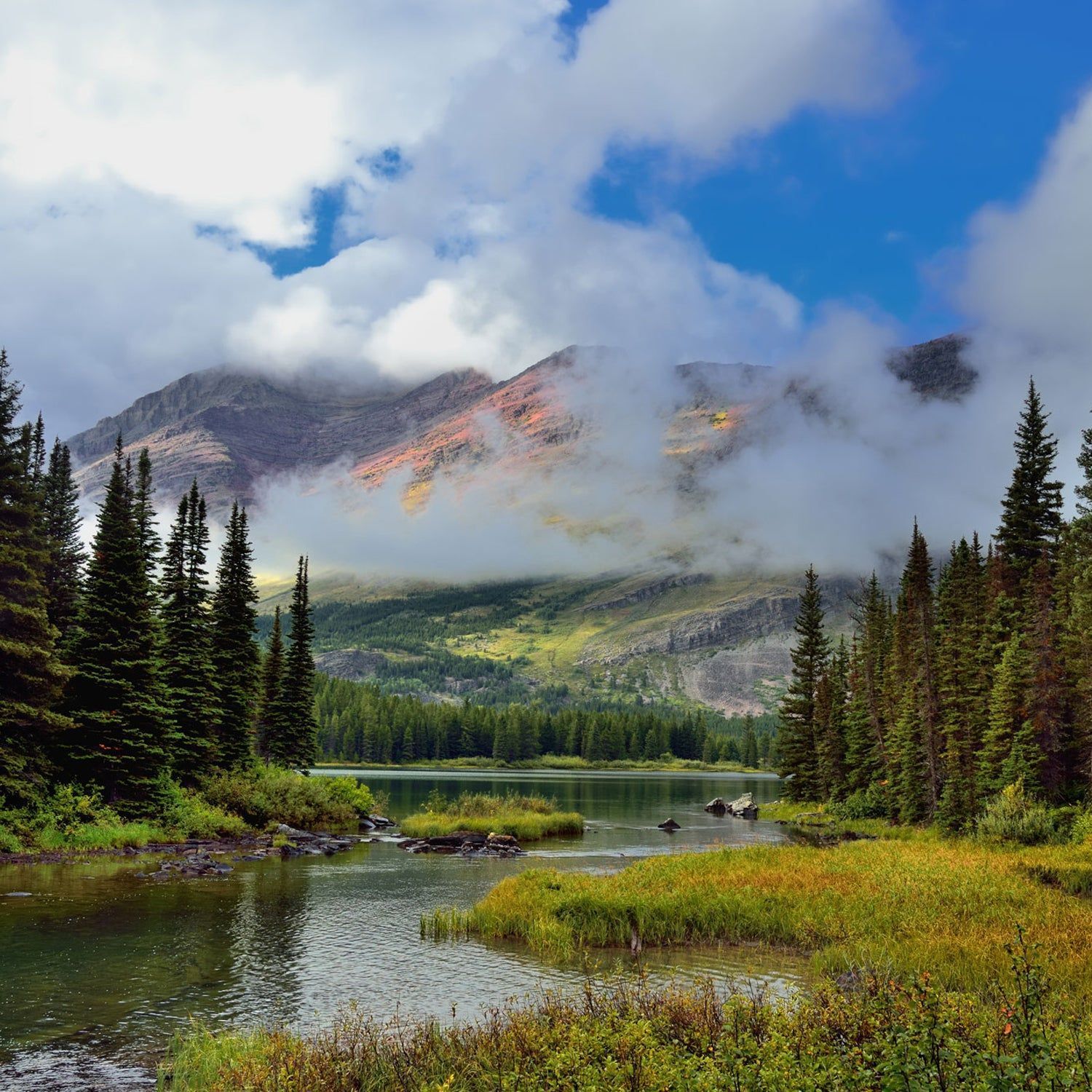 July Nature Wallpapers - Top Free July Nature Backgrounds - WallpaperAccess