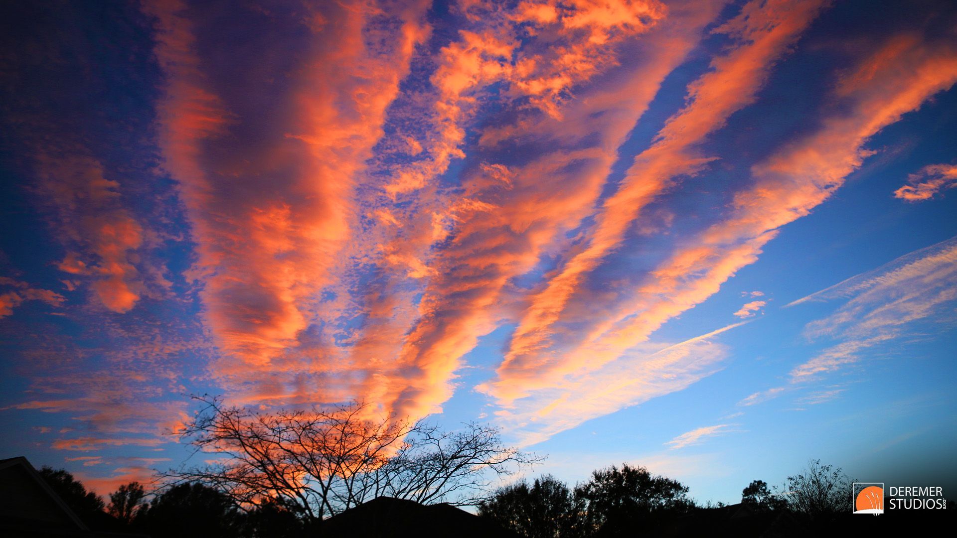 July Nature Wallpapers - Top Free July Nature Backgrounds - WallpaperAccess