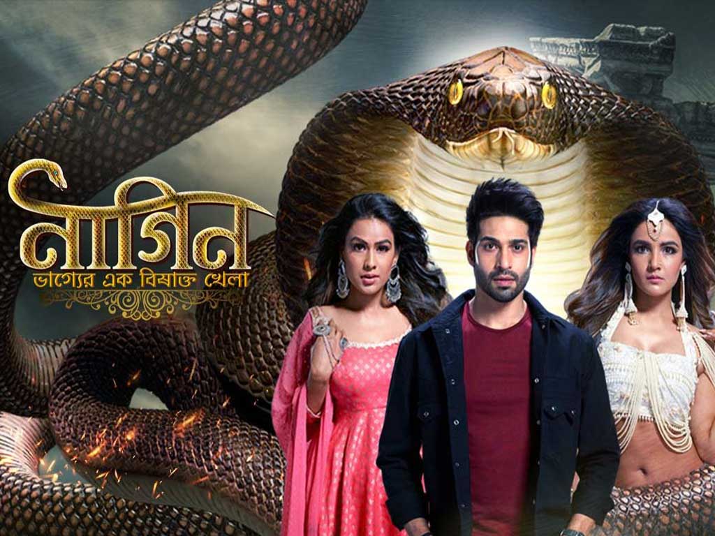 Naagin Wallpapers - Top Free Naagin Backgrounds - WallpaperAccess