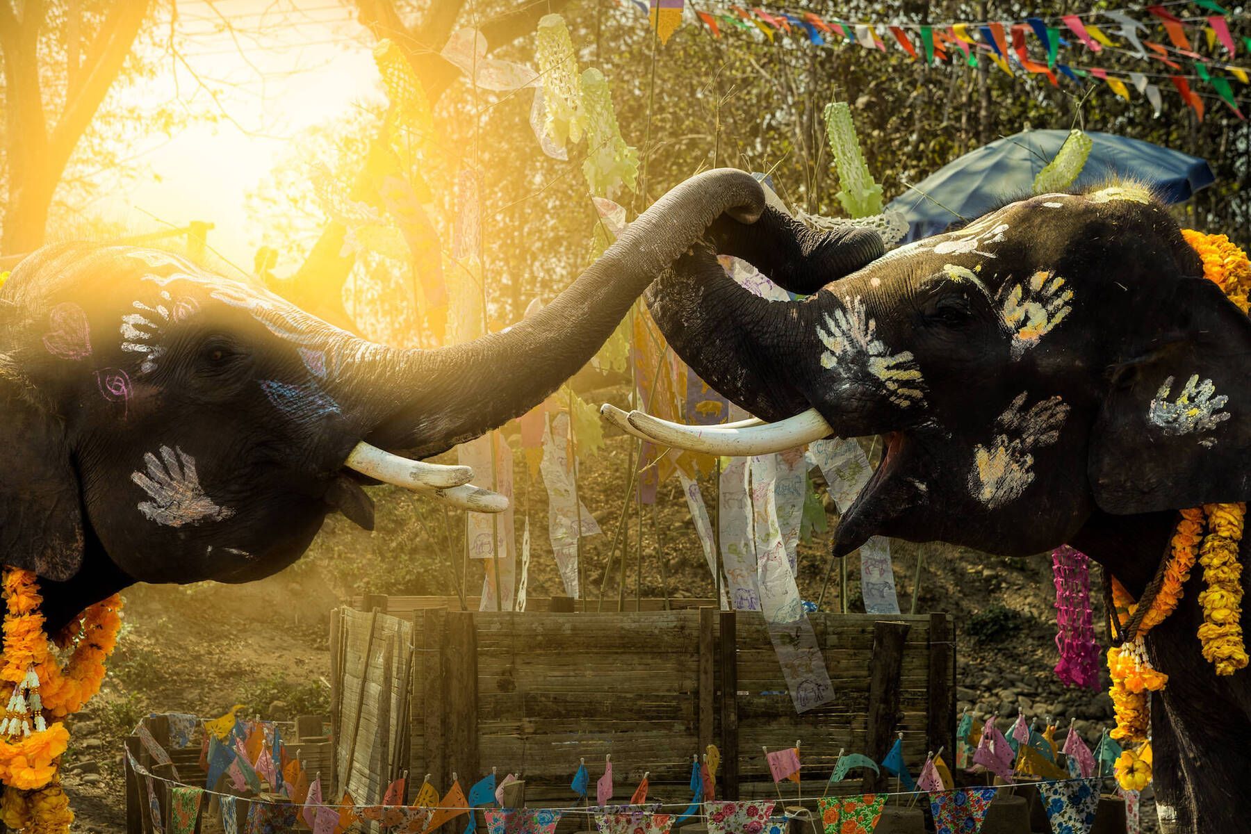 Songkran Wallpapers - Top Free Songkran Backgrounds - WallpaperAccess