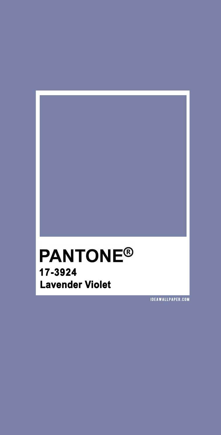 Pantone Wallpapers - Top Free Pantone Backgrounds - WallpaperAccess