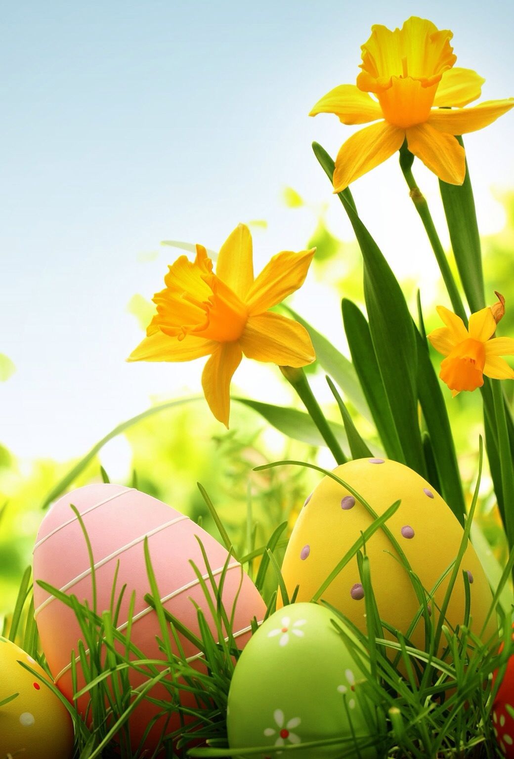 Easter Day Wallpapers - Top Free Easter Day Backgrounds - WallpaperAccess