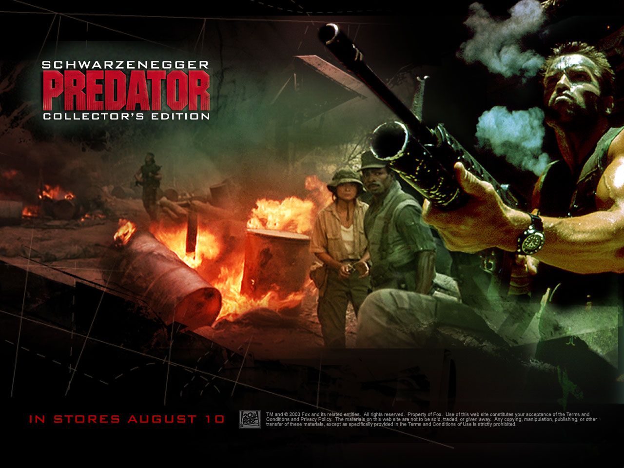 Predator 1987 Wallpapers - Top Free Predator 1987 Backgrounds ...