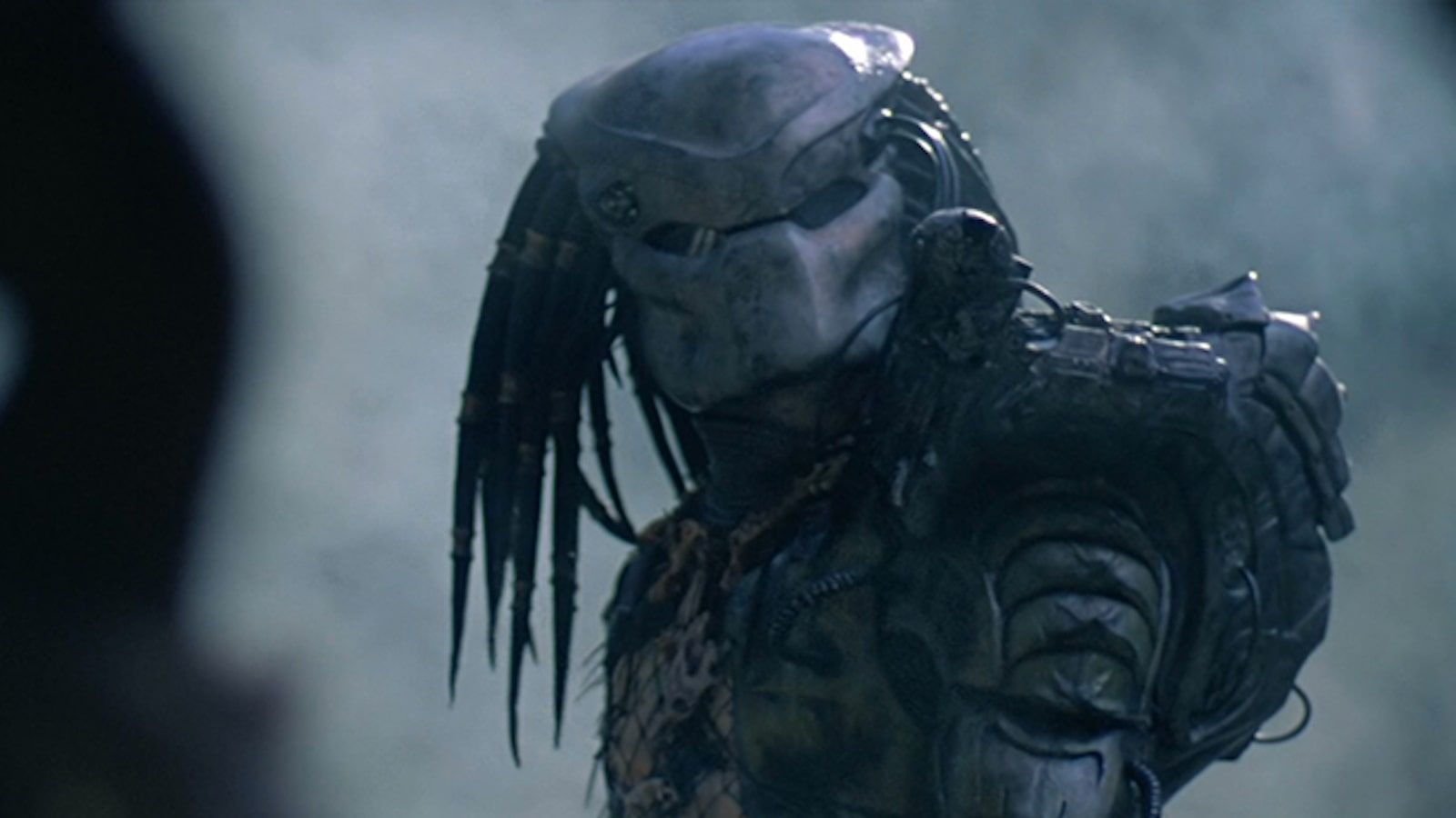 Predator 1987 Wallpapers - Top Free Predator 1987 Backgrounds ...