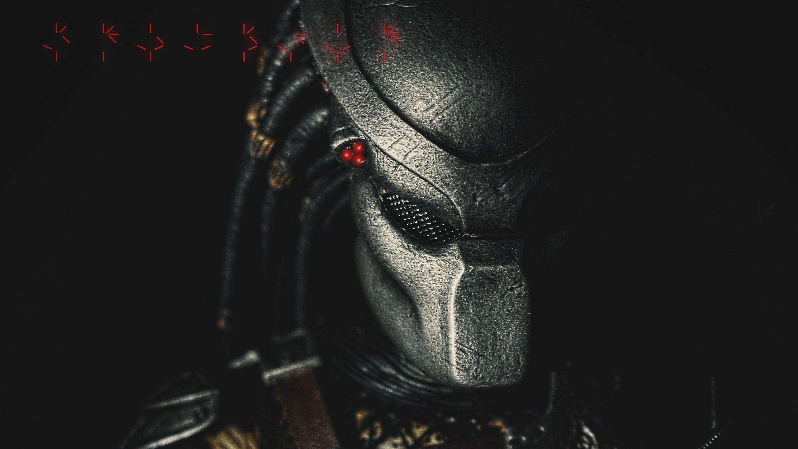 Predator 1987 Wallpapers - Top Free Predator 1987 Backgrounds ...