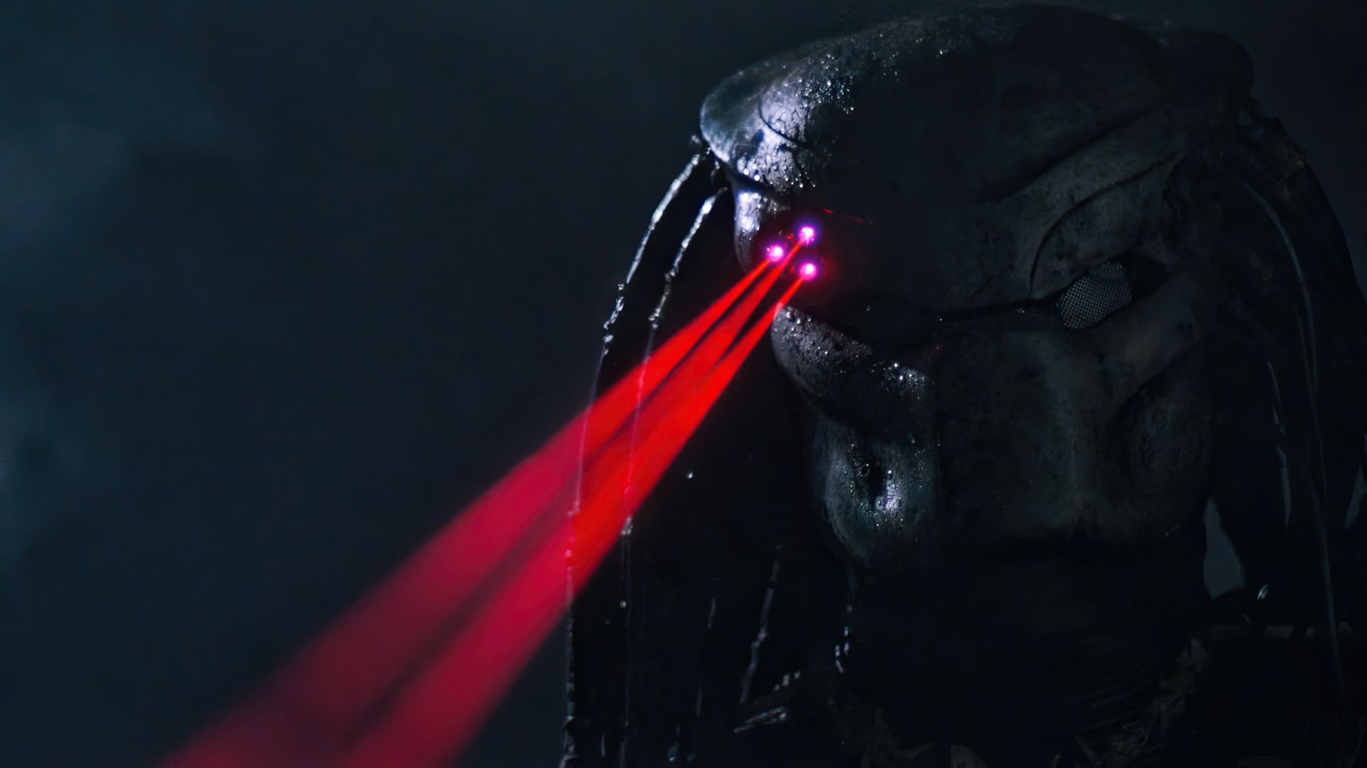 Predator 1987 Wallpapers - Top Free Predator 1987 Backgrounds ...