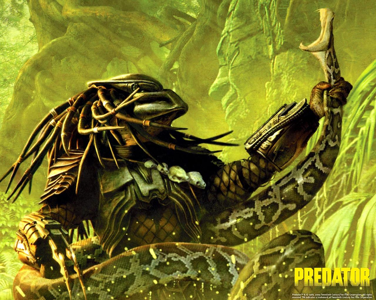 Predator 1987 Wallpapers - Top Free Predator 1987 Backgrounds ...