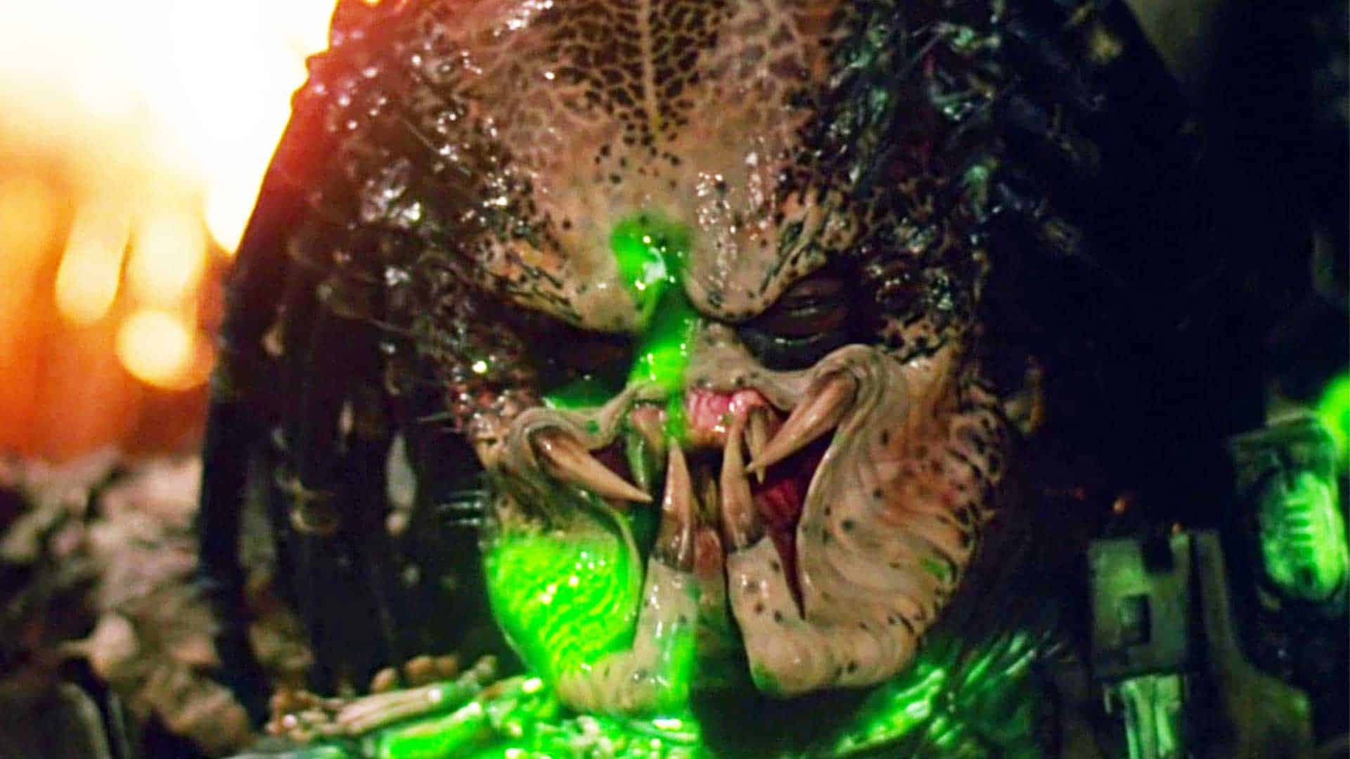 Predator 1987 Wallpapers - Top Free Predator 1987 Backgrounds ...