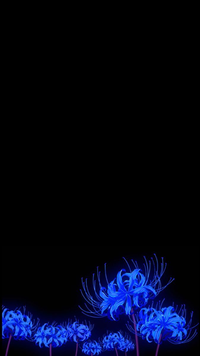 Blue Spider Lily Wallpapers - Top Free Blue Spider Lily Backgrounds ...