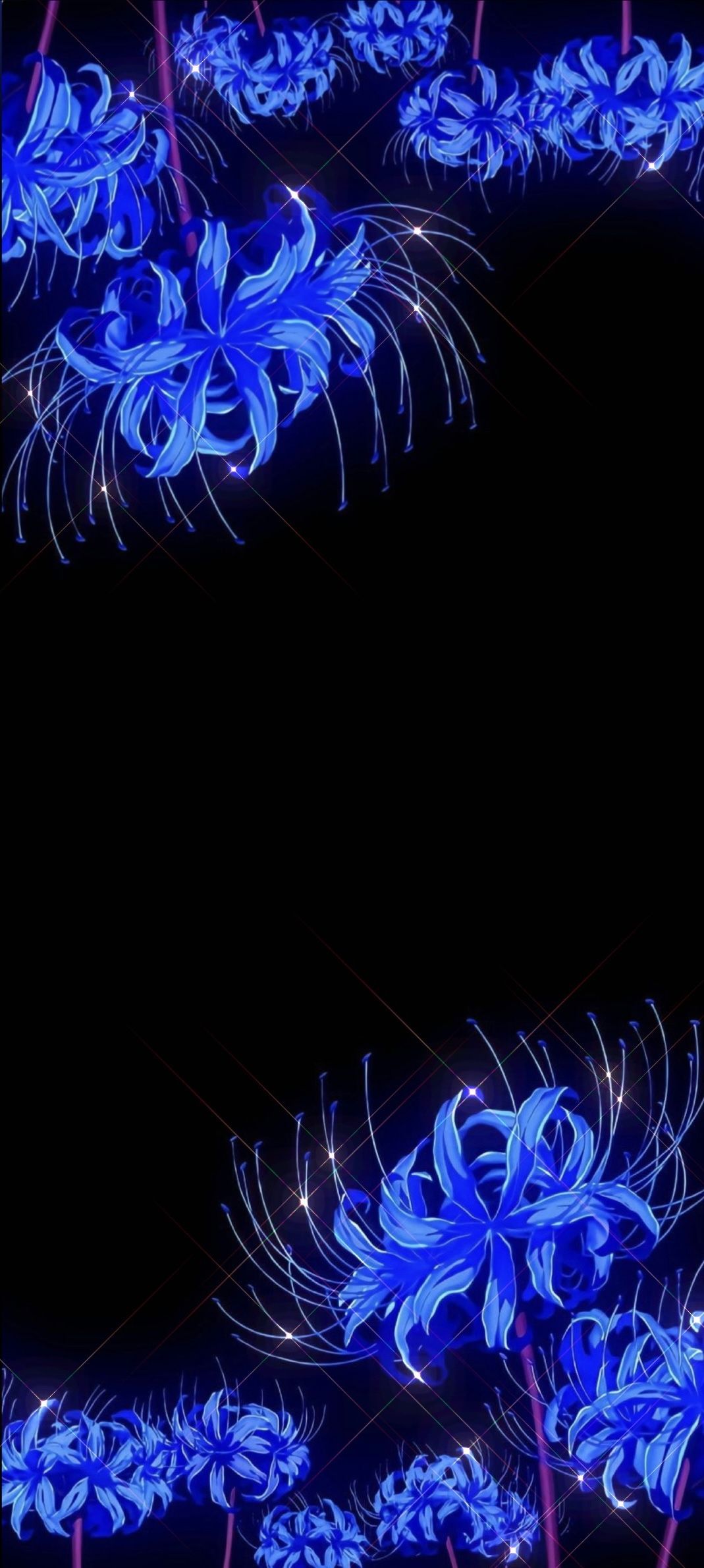 Blue Spider Lily Wallpapers - Top Free Blue Spider Lily Backgrounds ...