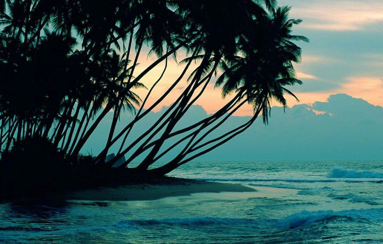 Sri Lanka Wallpapers - Top Free Sri Lanka Backgrounds - WallpaperAccess
