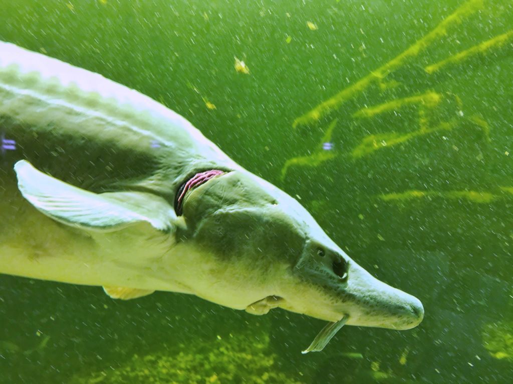 25 Exotic Awesome Car Wallpapers Hd Edition Stugon