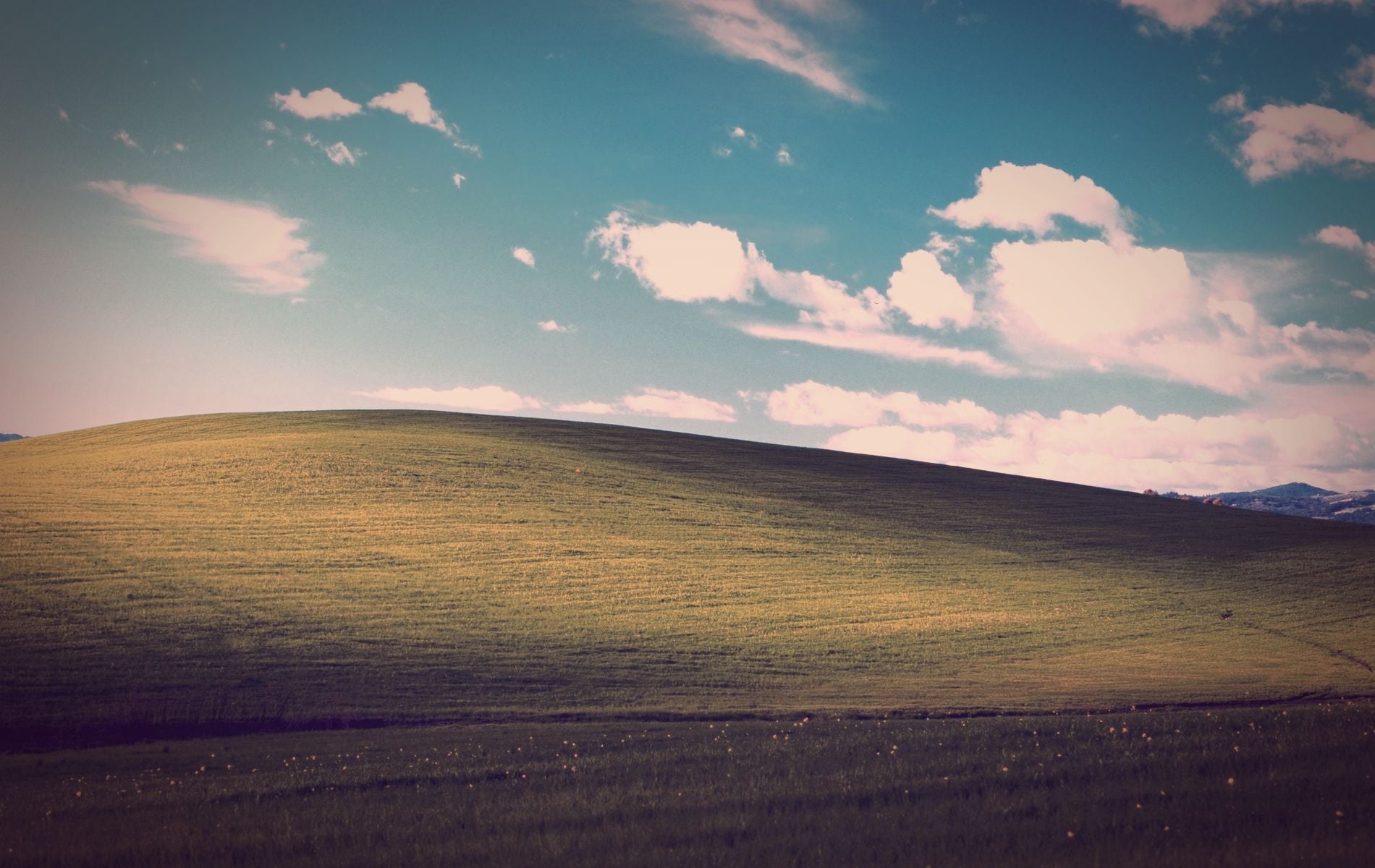 Windows XP 4K Wallpapers - Top Free Windows XP 4K Backgrounds ...