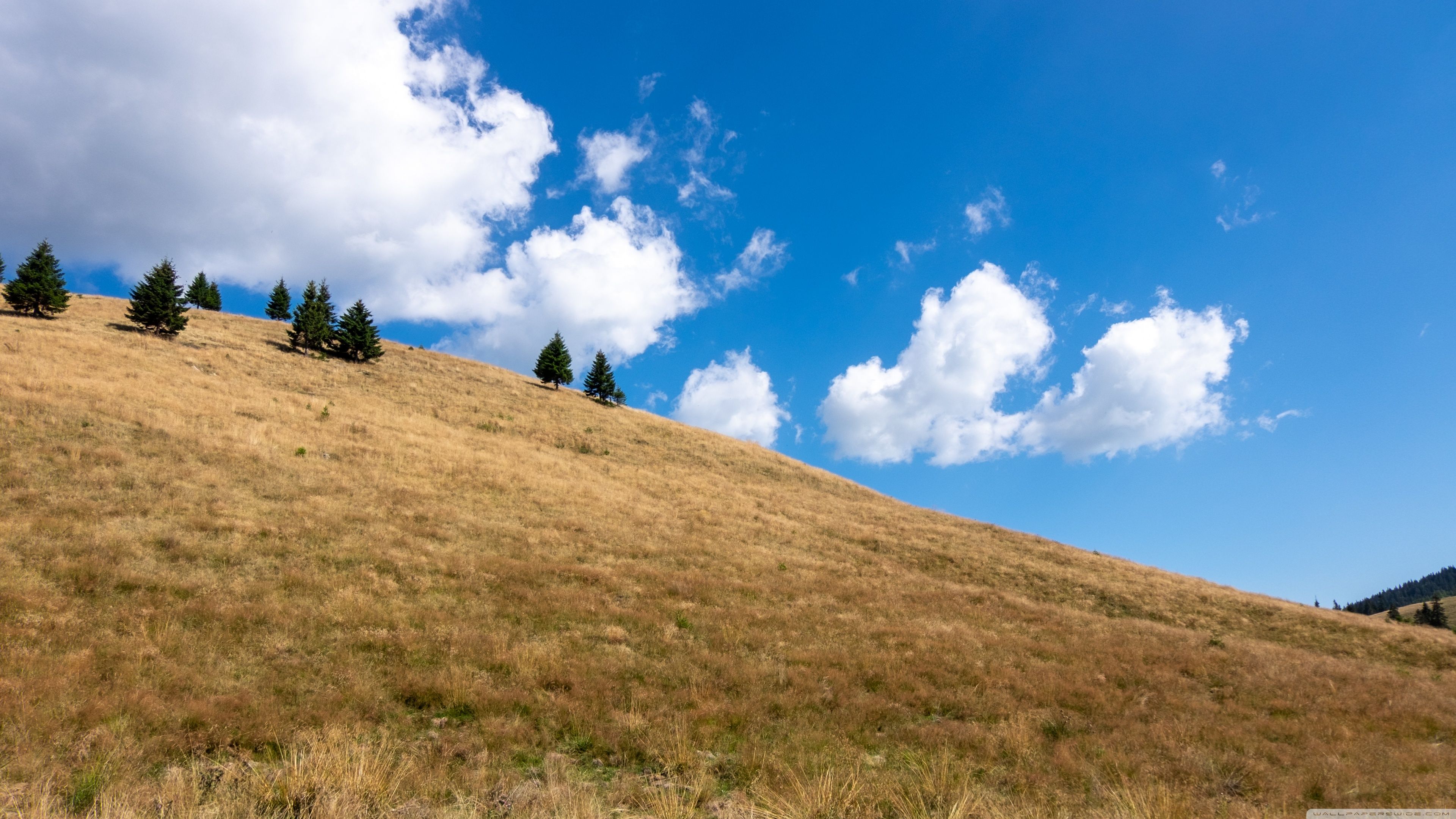 Windows XP 4K Wallpapers - Top Free Windows XP 4K Backgrounds ...